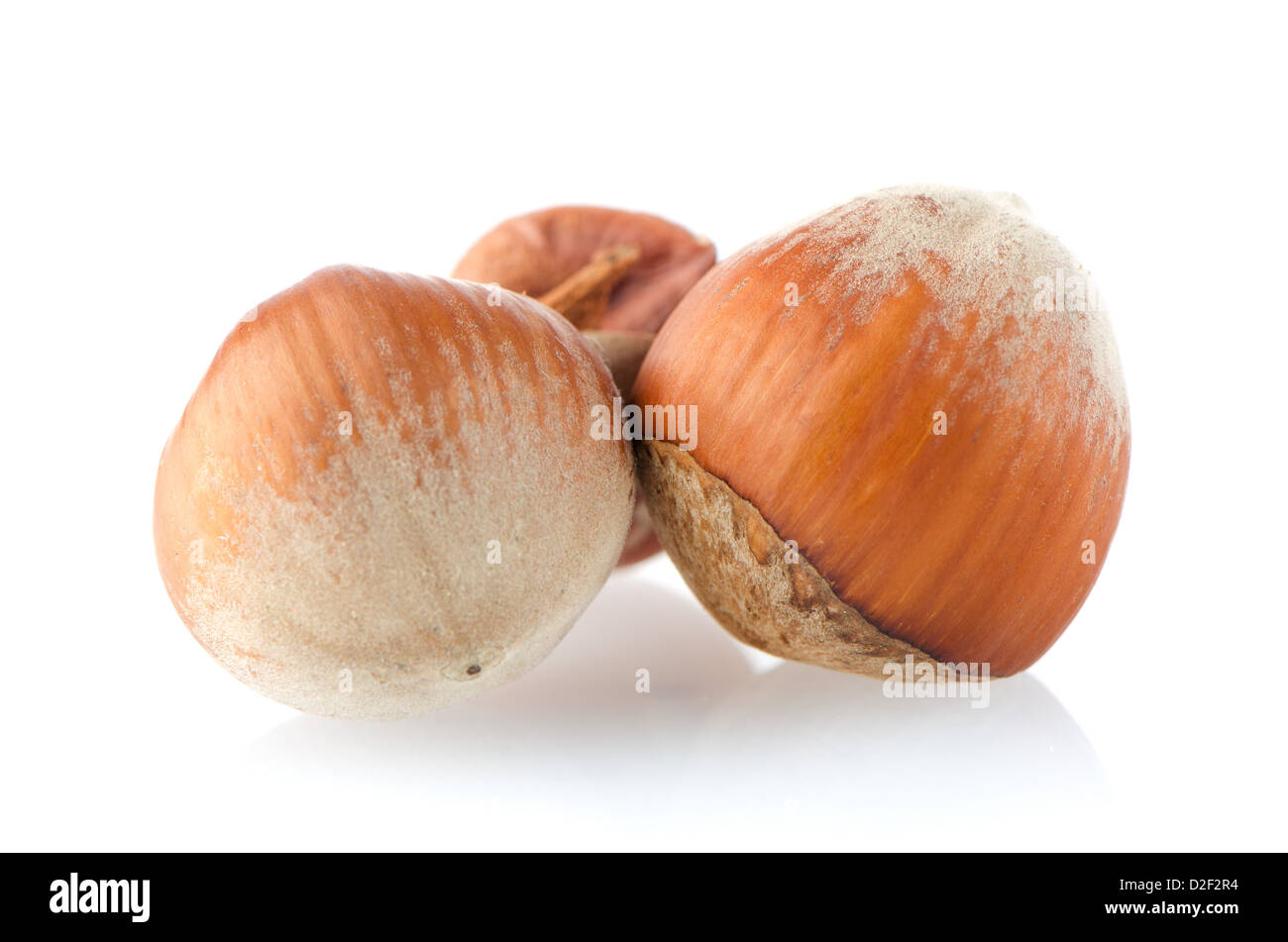 Three hazelnuts isolated on white background Stock Photo - Alamy