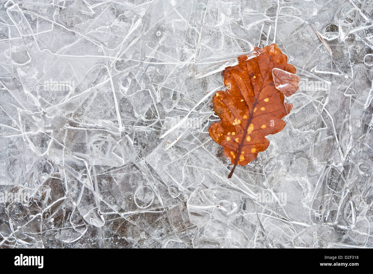 Thin ice hi-res stock photography and images - Alamy