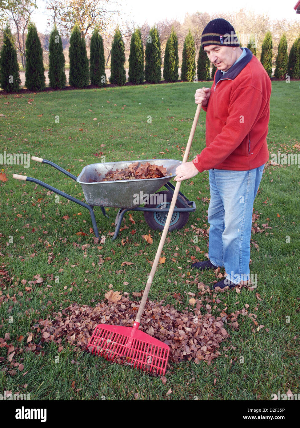 Old Man Raking Grass High Resolution Stock Photography and Images - Alamy