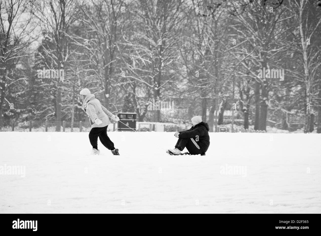Woman pulling a man on a sledge Stock Photo - Alamy