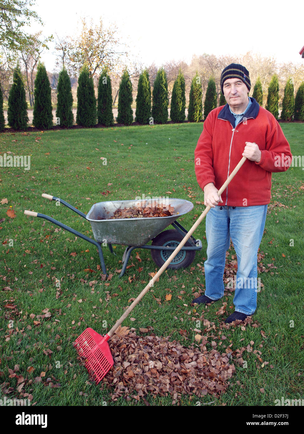Old Man Raking Grass High Resolution Stock Photography and Images - Alamy