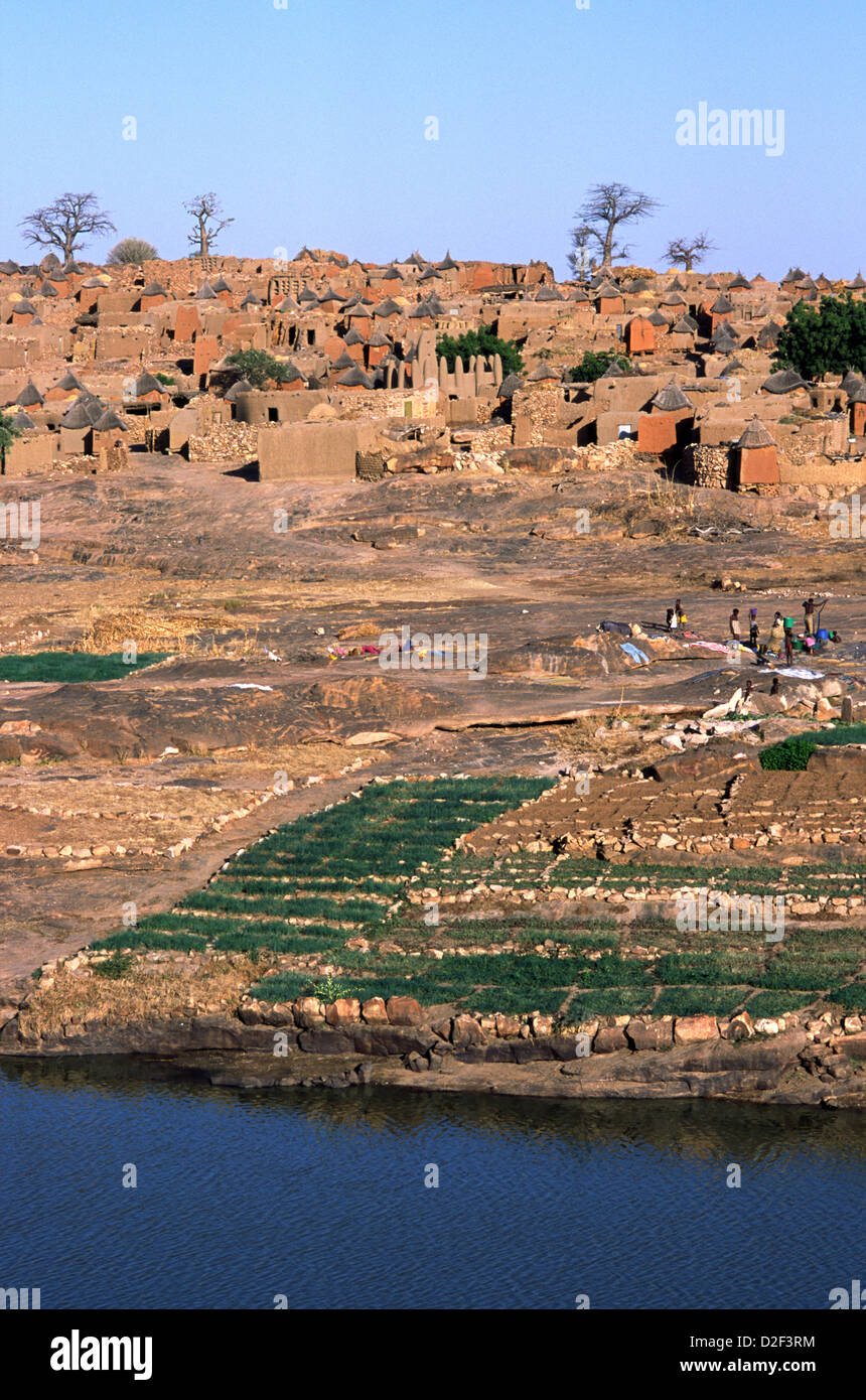 Konsogou - a typical village on the Dogon Plateau in Mali, Africa Stock ...