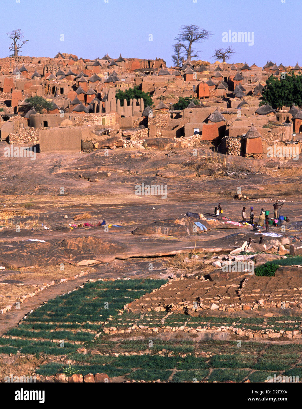 Konsogou - a typical village on the Dogon Plateau in Mali, Africa Stock ...