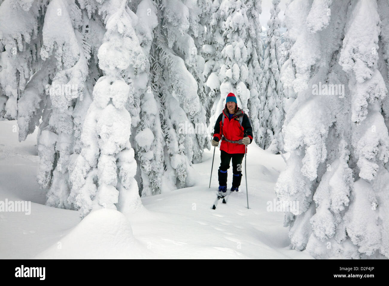 Snoqualmie pass cross country ski hi-res stock photography and images ...