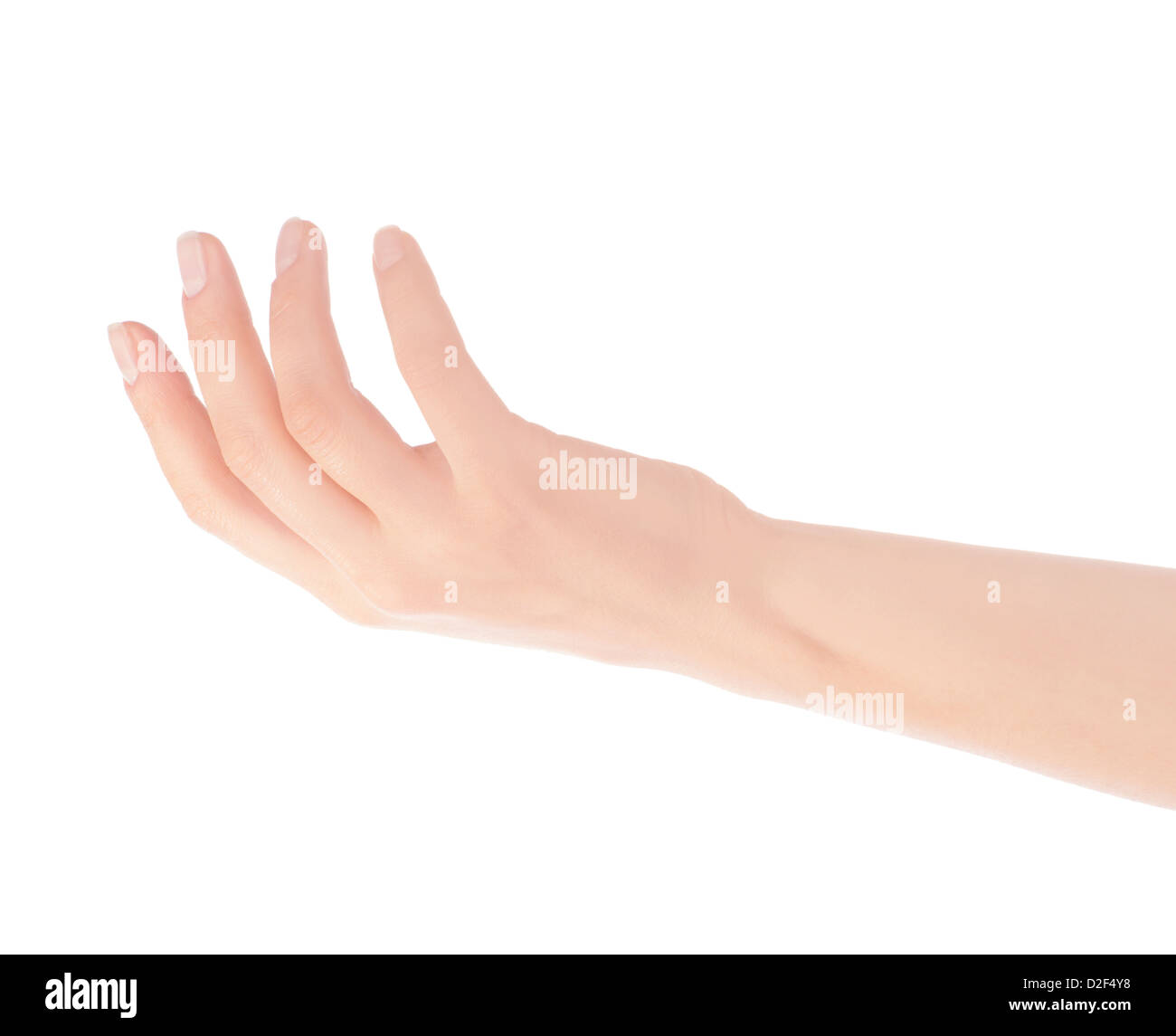 Empty open woman hand on white background Stock Photo - Alamy