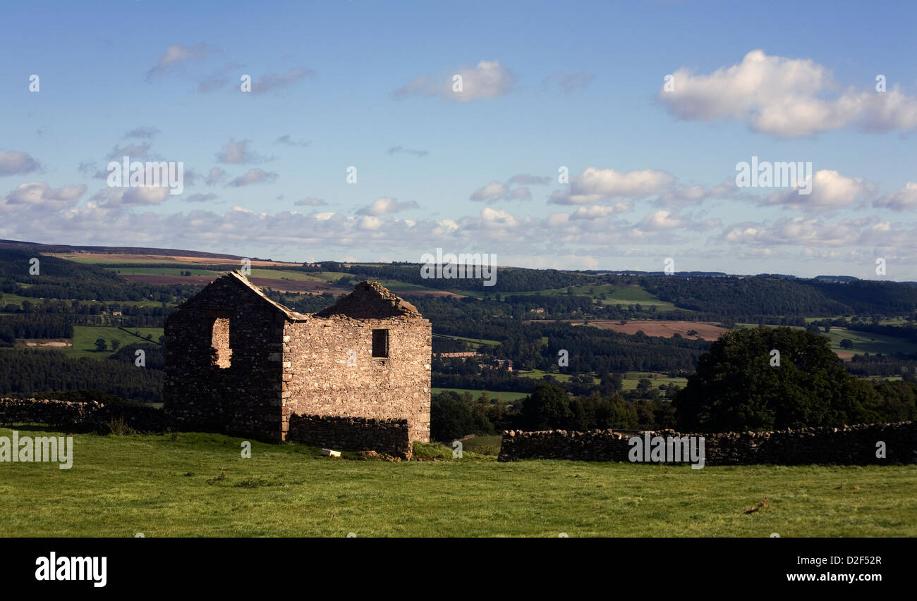 Derelci limestone barn on the lower slopes of Penhill Beacon above West ...