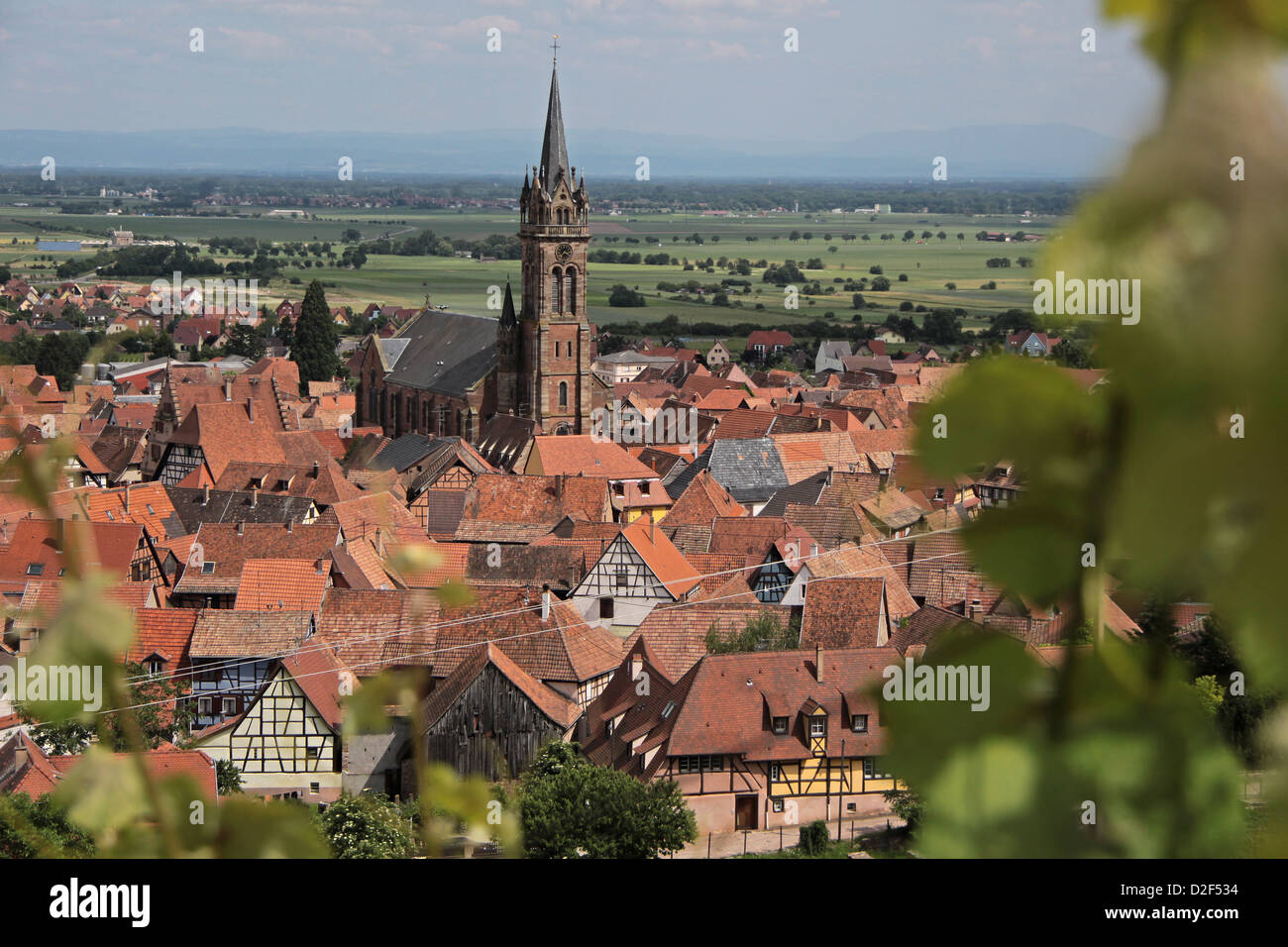 Village with vineyards in Dambach-la-Ville, Alsace, France Stock Photo ...