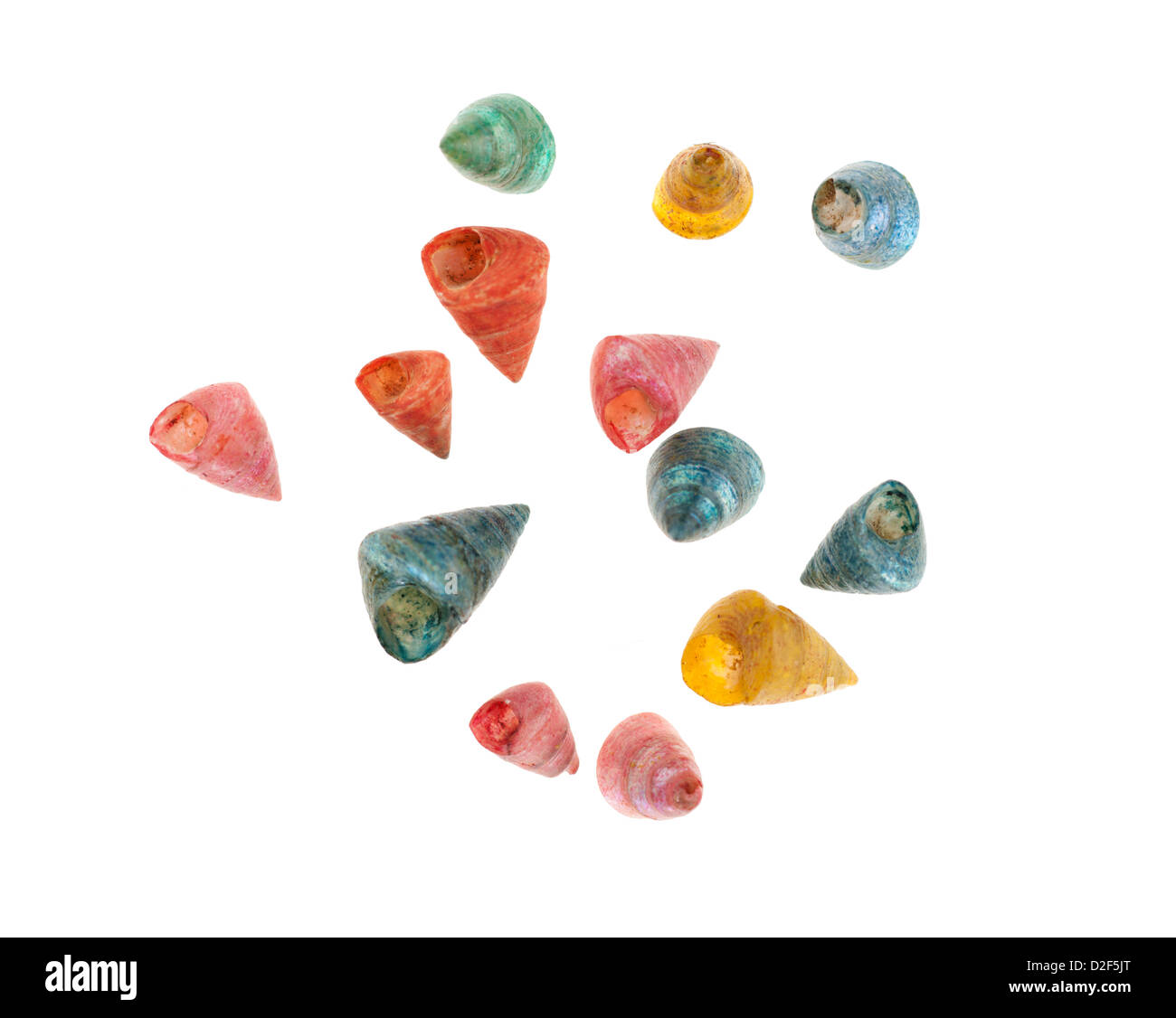 Pearly shell hi-res stock photography and images - Alamy