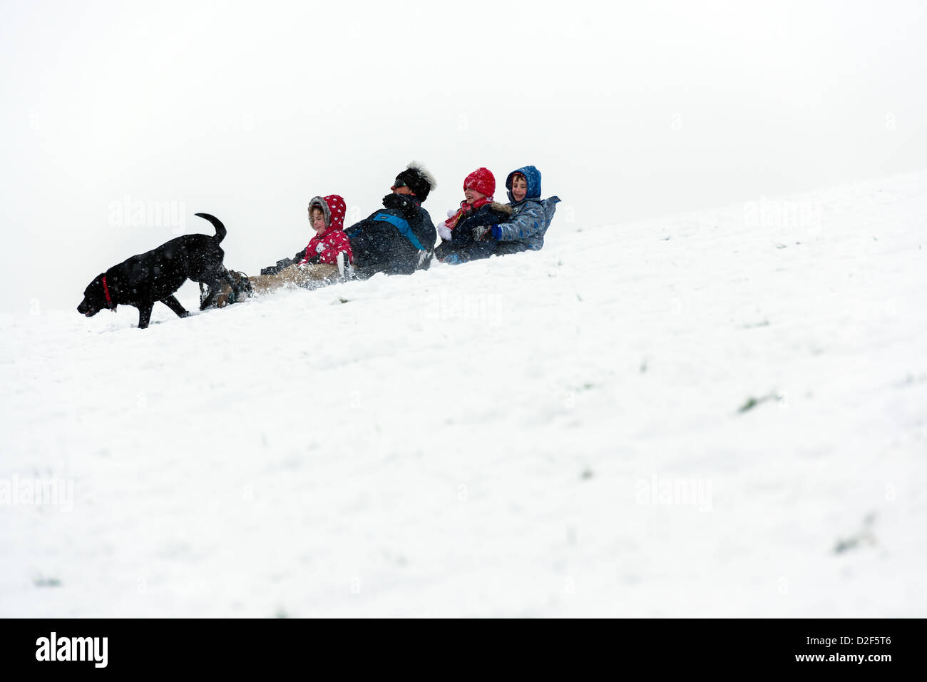 Enjoying the snow Stock Photo - Alamy