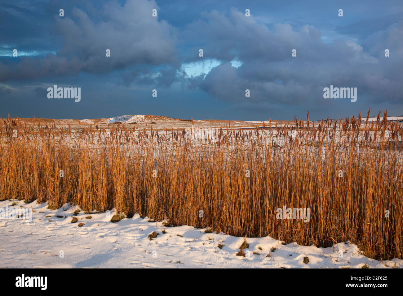 Salthouse marshes snow hi-res stock photography and images - Alamy