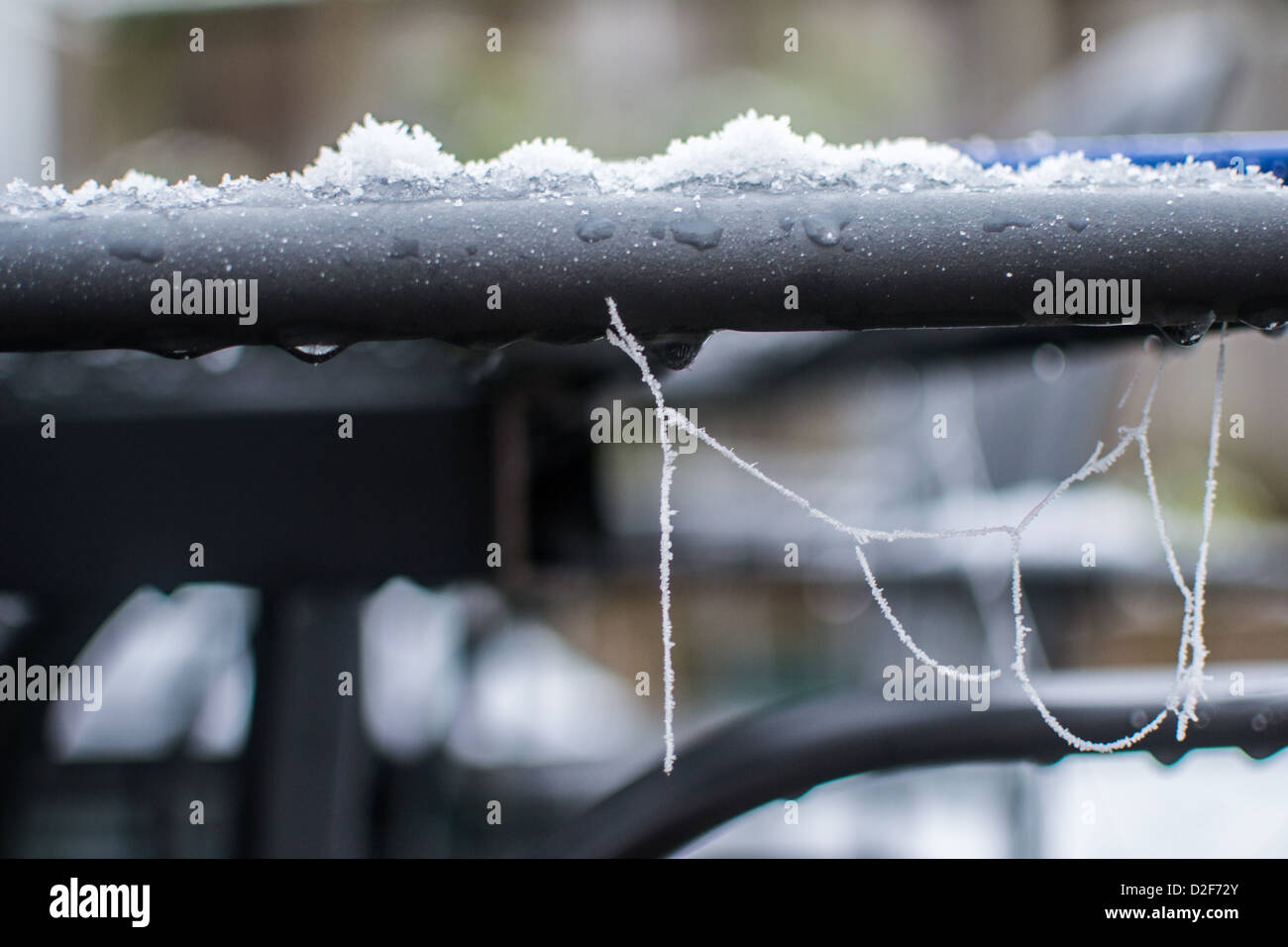 snowy spider web Stock Photo - Alamy