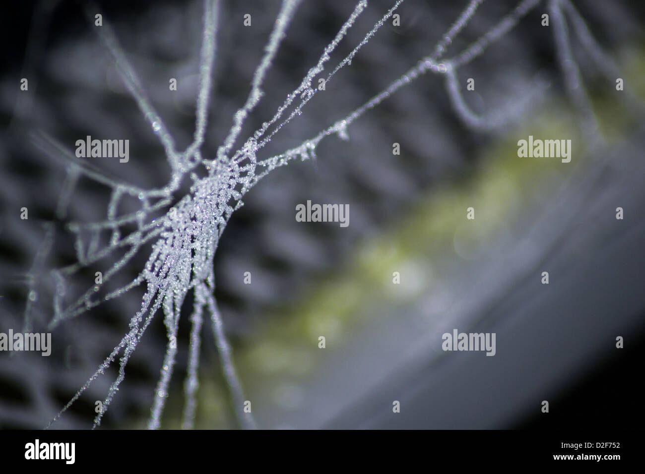 snowy spider web Stock Photo - Alamy