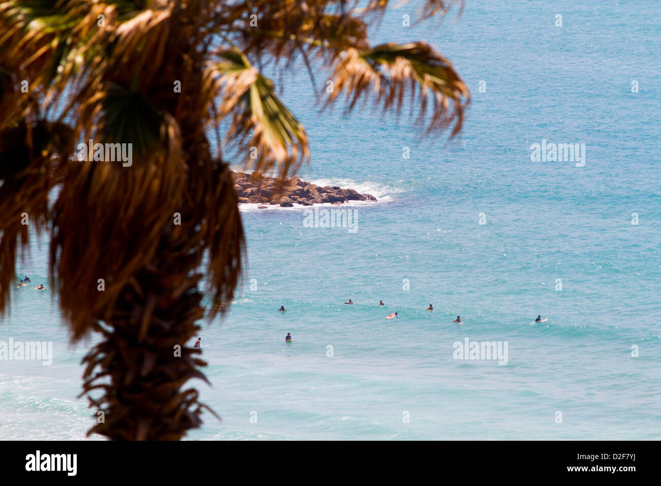 People swim and surf in the Mediterranean Sea off the coast of Israel ...