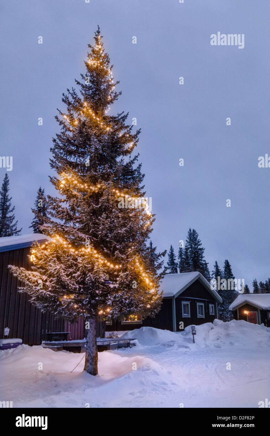 outside Christmas tree Stock Photo - Alamy