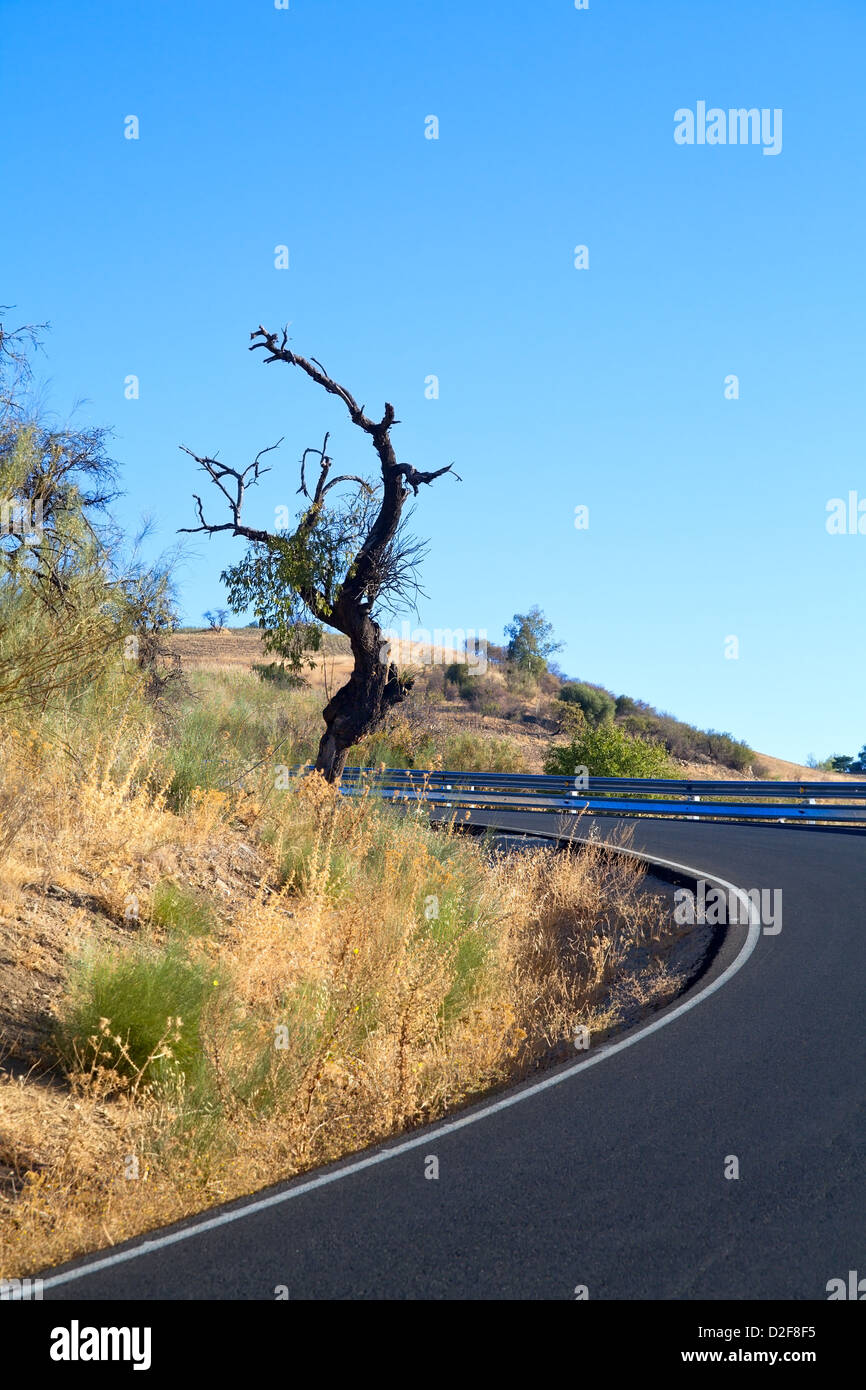 Curved asphalt road hi-res stock photography and images - Alamy