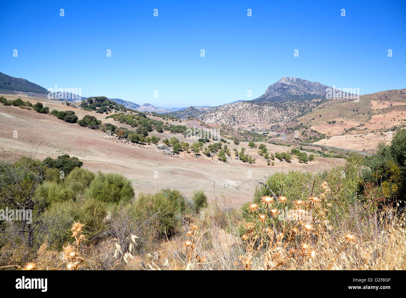 Sunny spanish field hi-res stock photography and images - Alamy