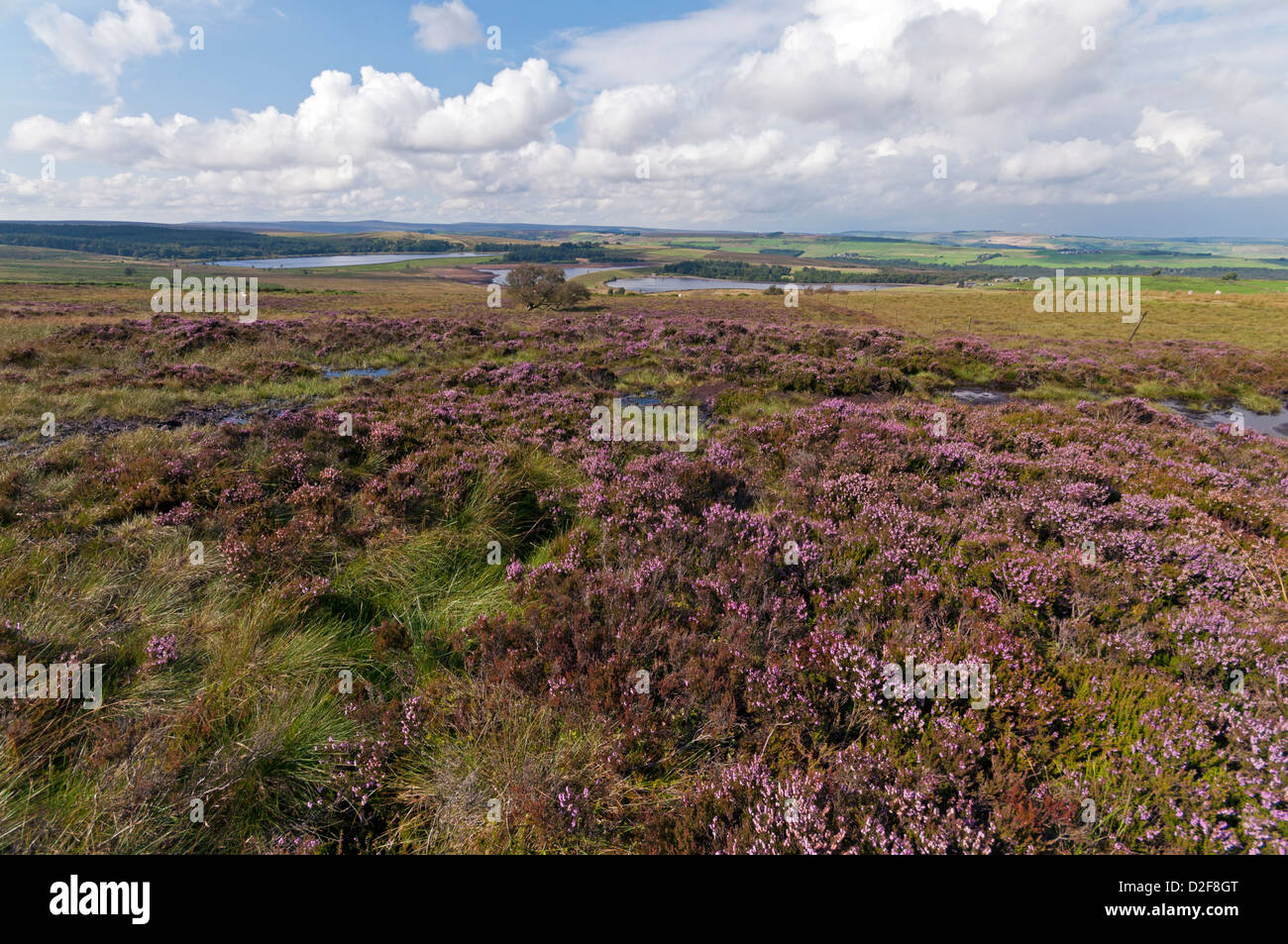 Redmires Reservoirs, near Fulwood, Sheffield, in the Peak District ...