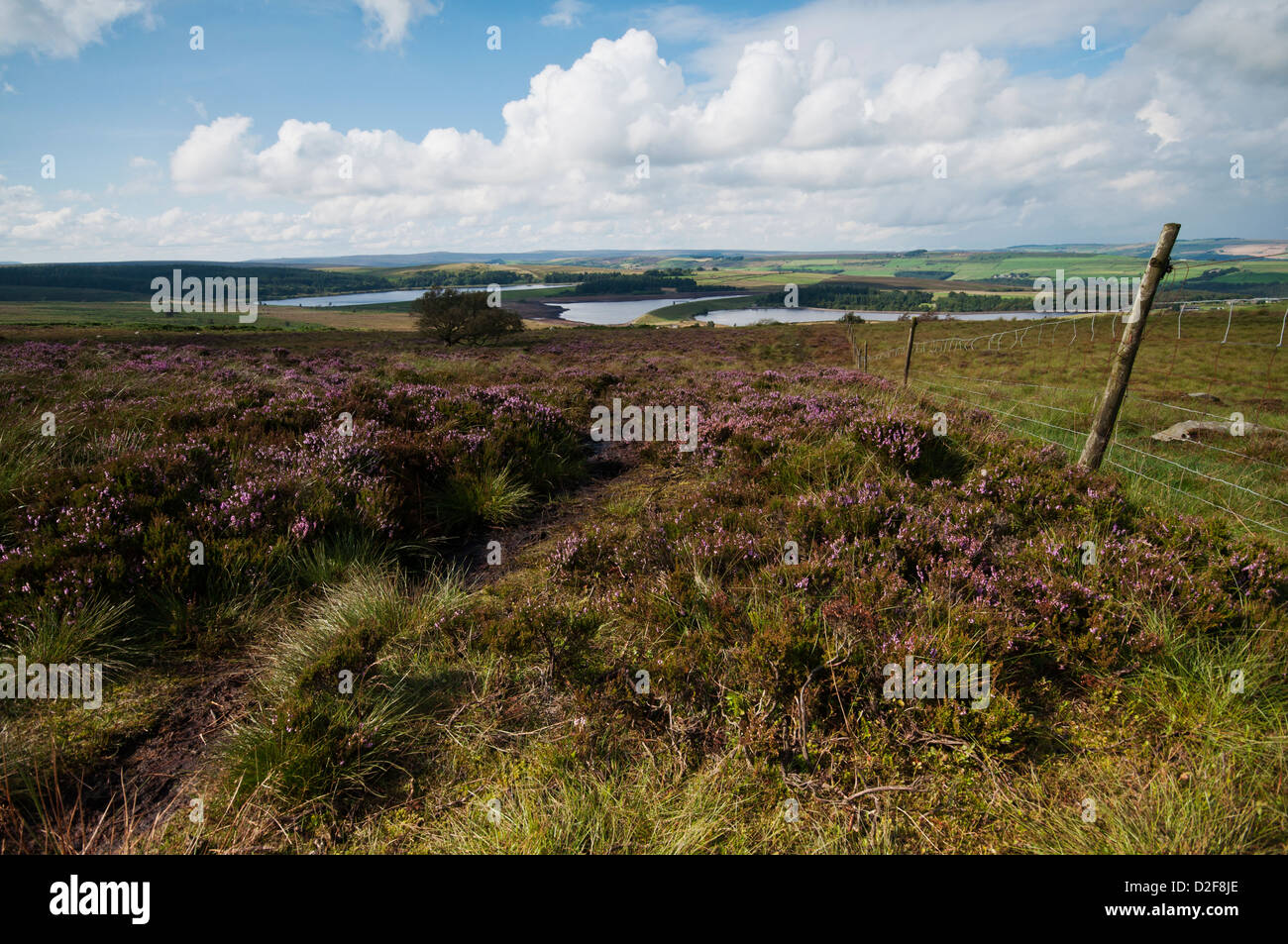 Redmires upper reservoir hi-res stock photography and images - Alamy