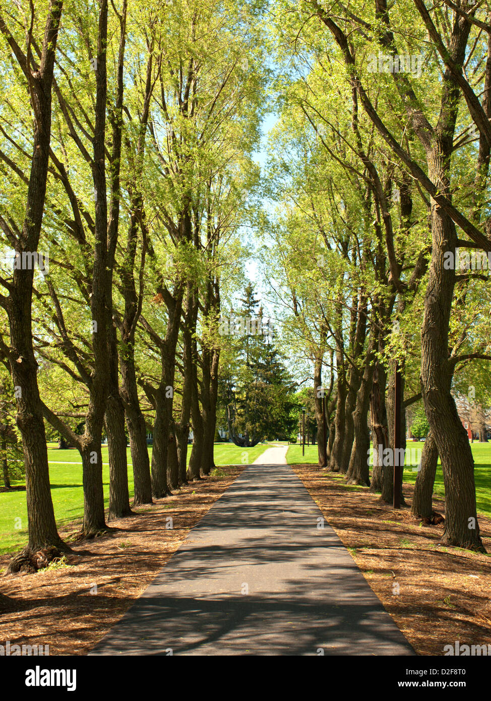 Colgate University Campus Autumn