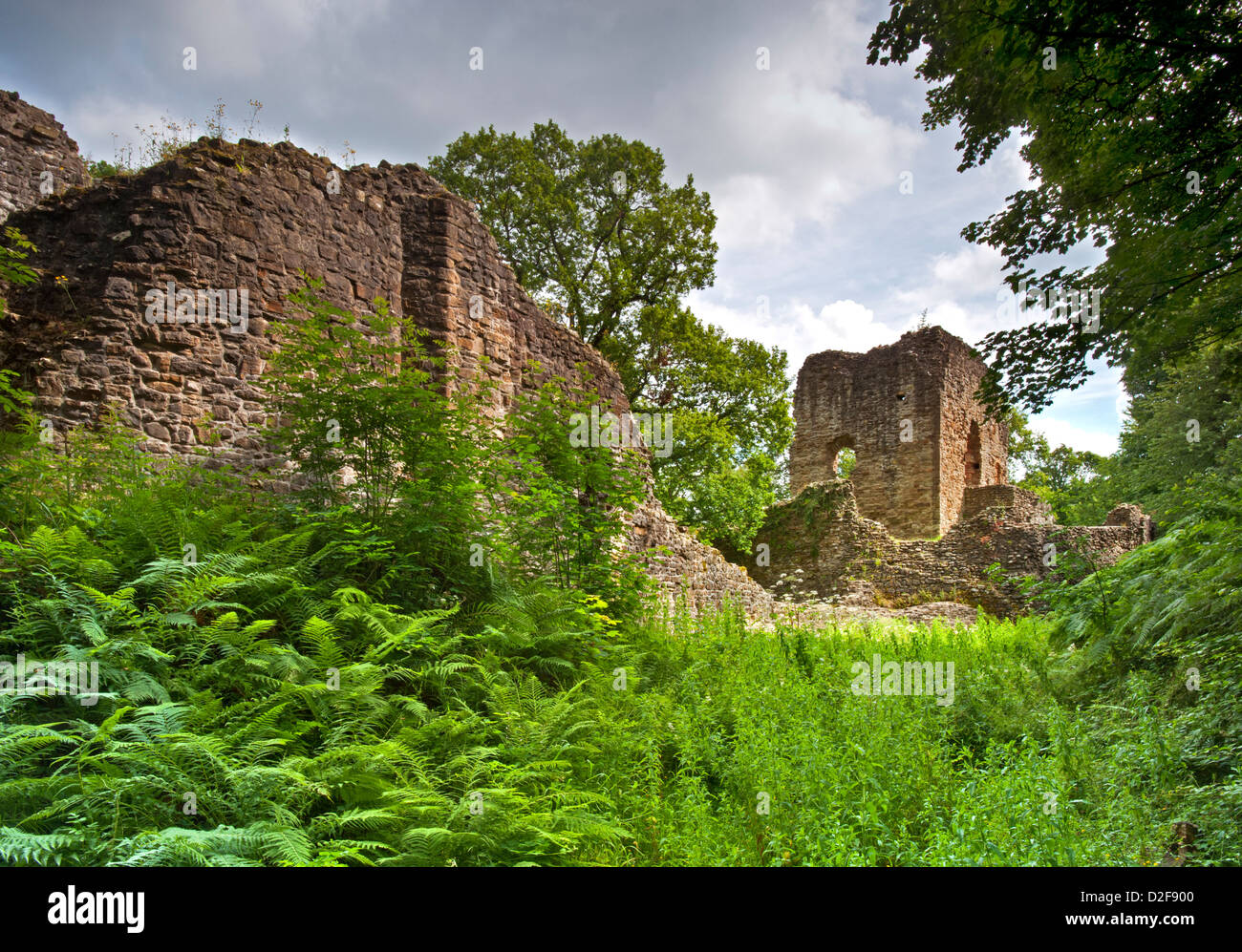 Ewloe Castle, Ewloe, Flintshire, North Wales, UK Stock Photo - Alamy
