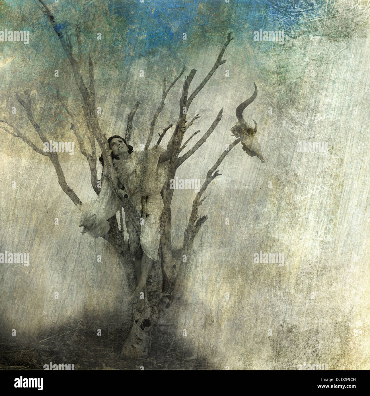 Woman in dead tree. Photo based mixed medium art Stock Photo - Alamy