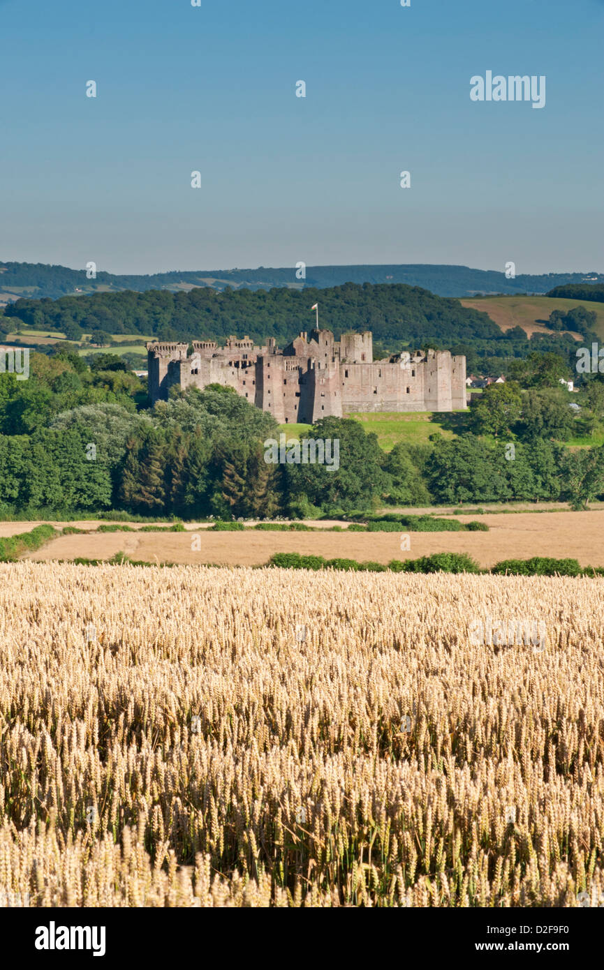 Raglan Castle in Summer, Raglan, Monmouthshire, South Wales, UK Stock ...