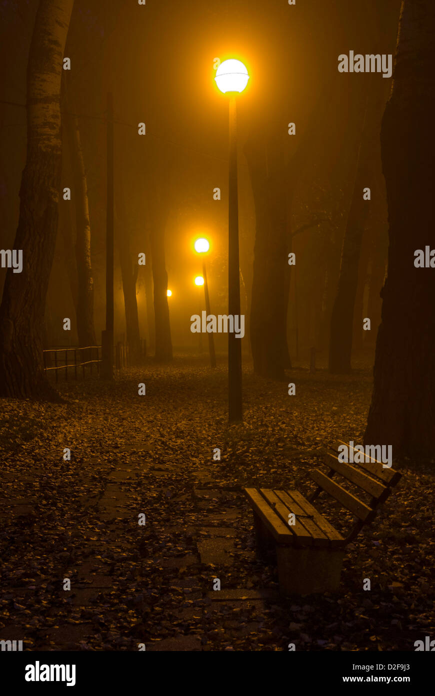 Park bench night hi-res stock photography and images - Alamy