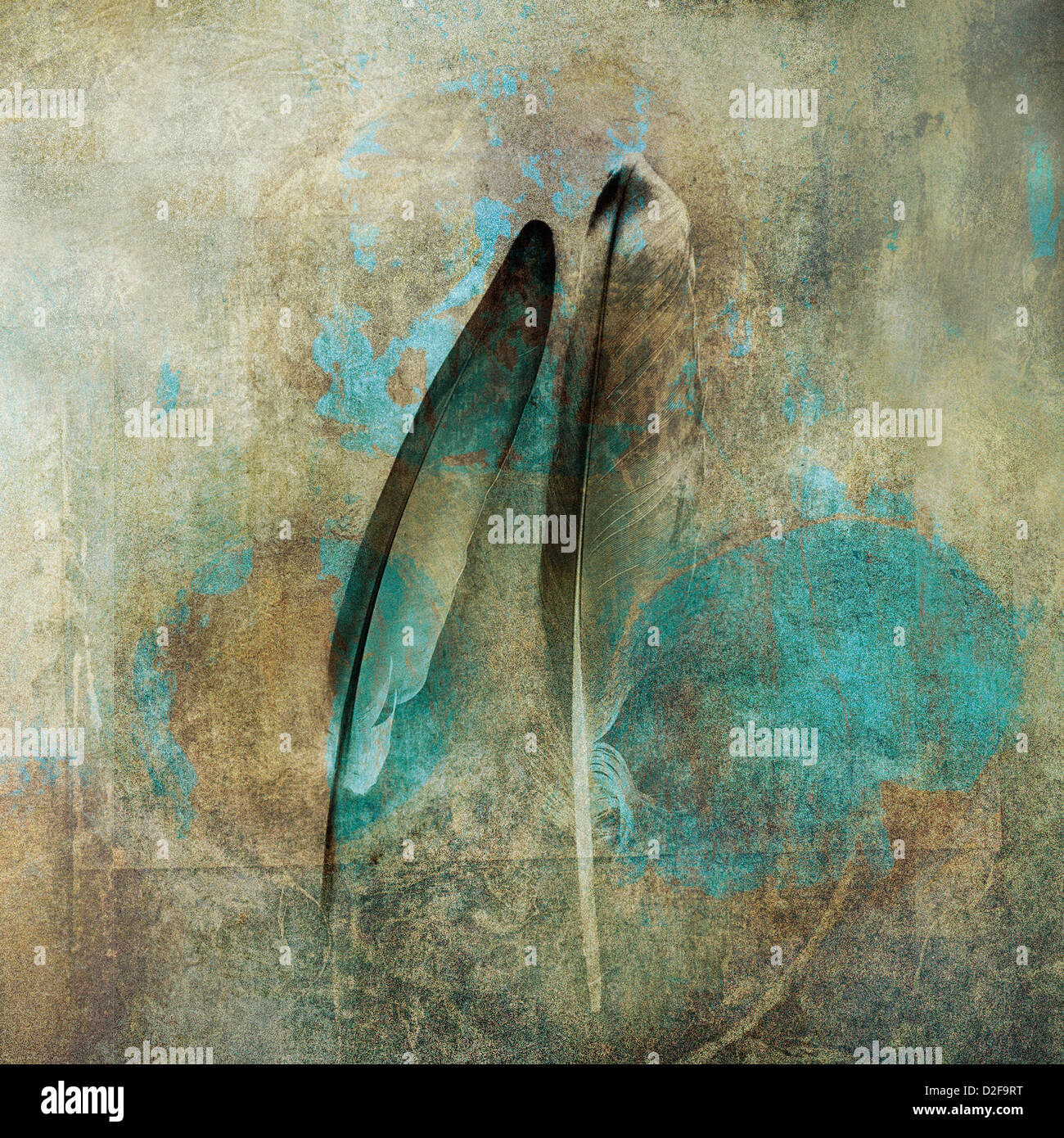 Two feathers. Photo based illustration Stock Photo - Alamy