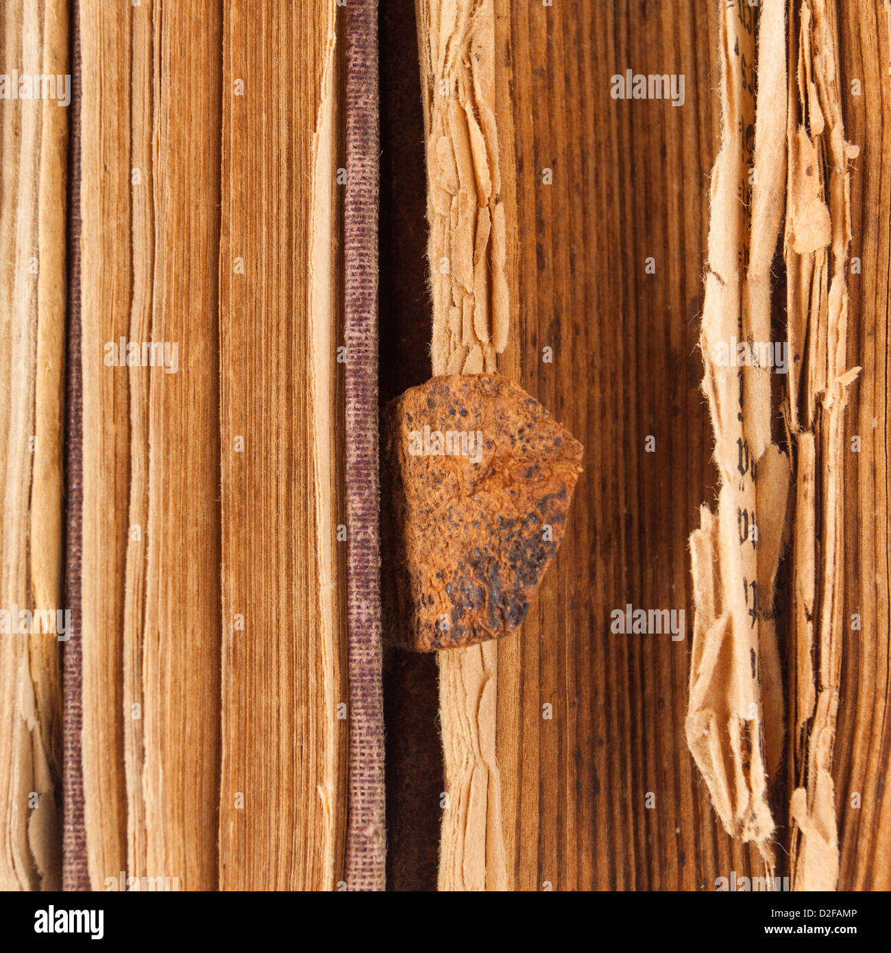 Ripped book pages hi-res stock photography and images - Alamy