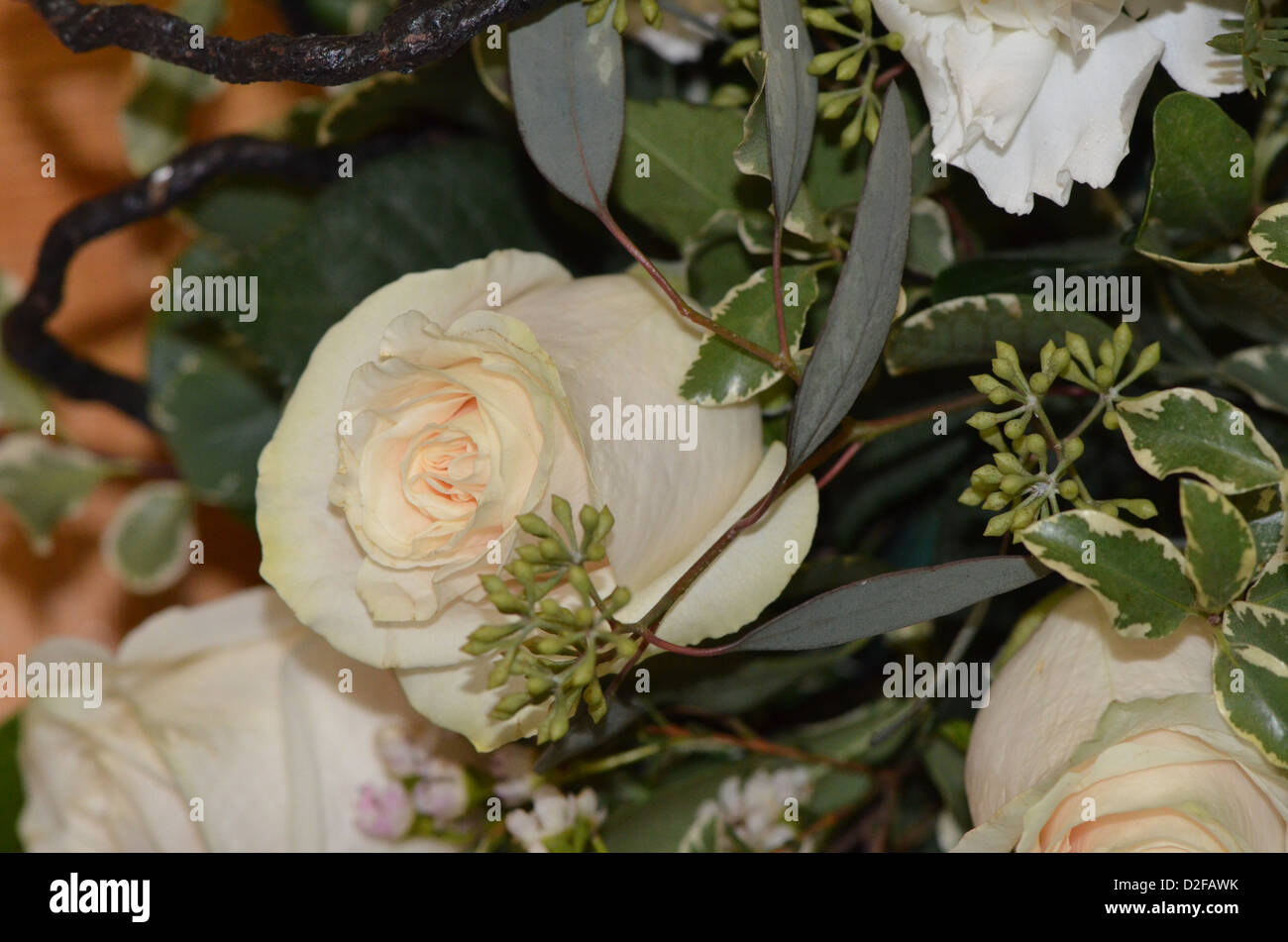 roses from funeral Stock Photo - Alamy