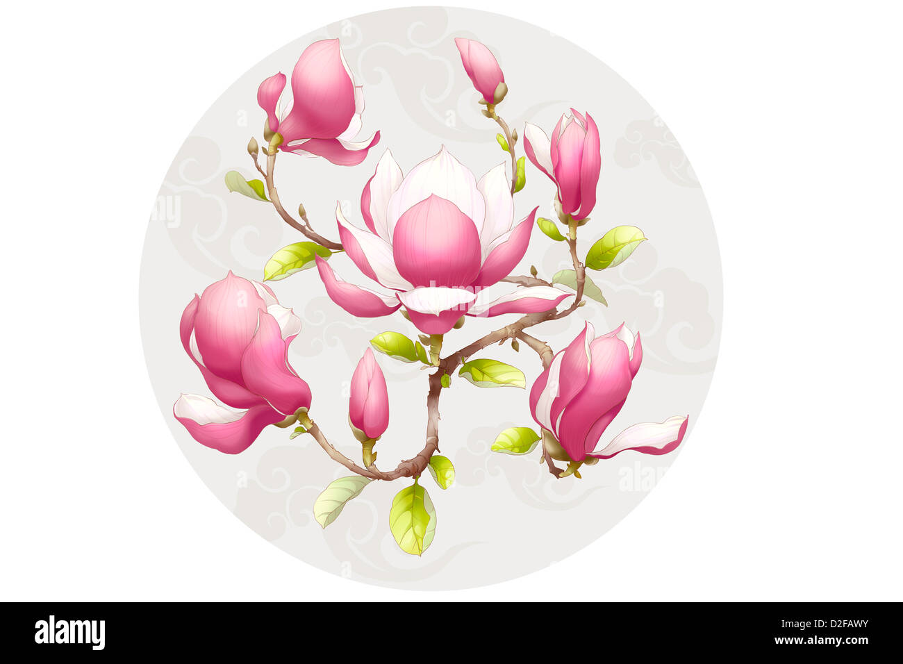 Magnolia circle hi-res stock photography and images - Alamy