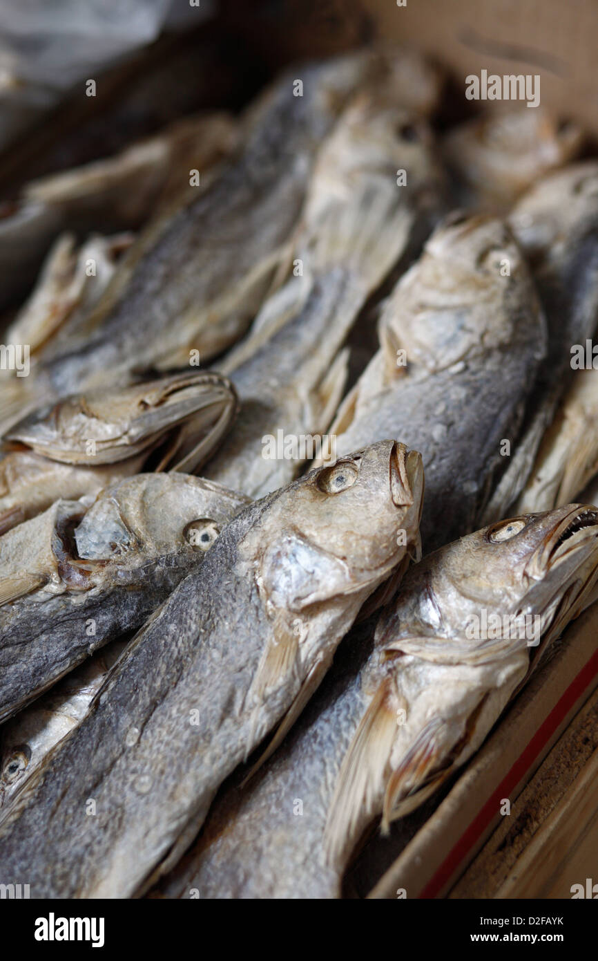 Hong Kong, China, dried fish at a Fischhaendler in Sham Shui Po Stock ...