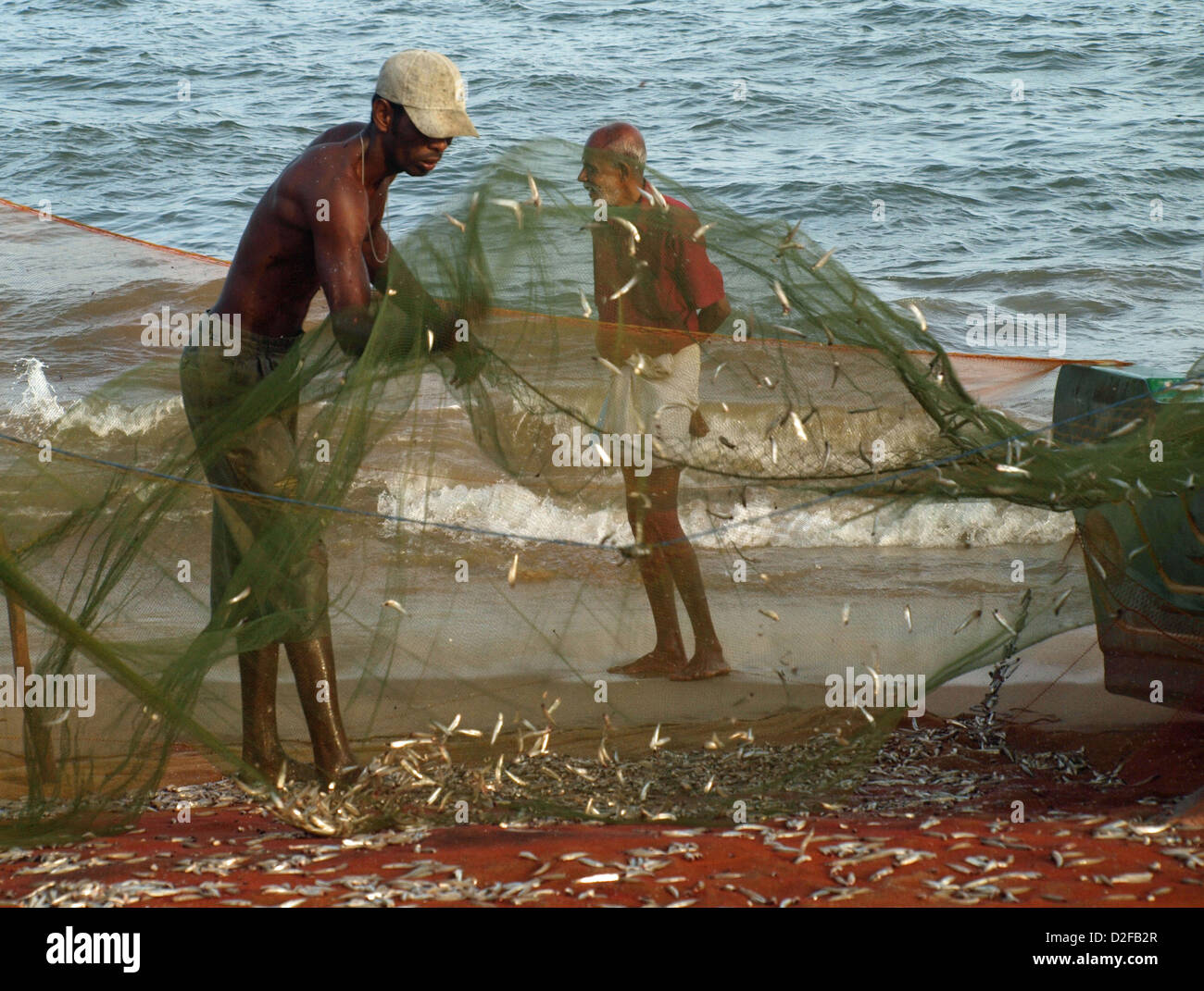 Entrail High Resolution Stock Photography and Images - Alamy