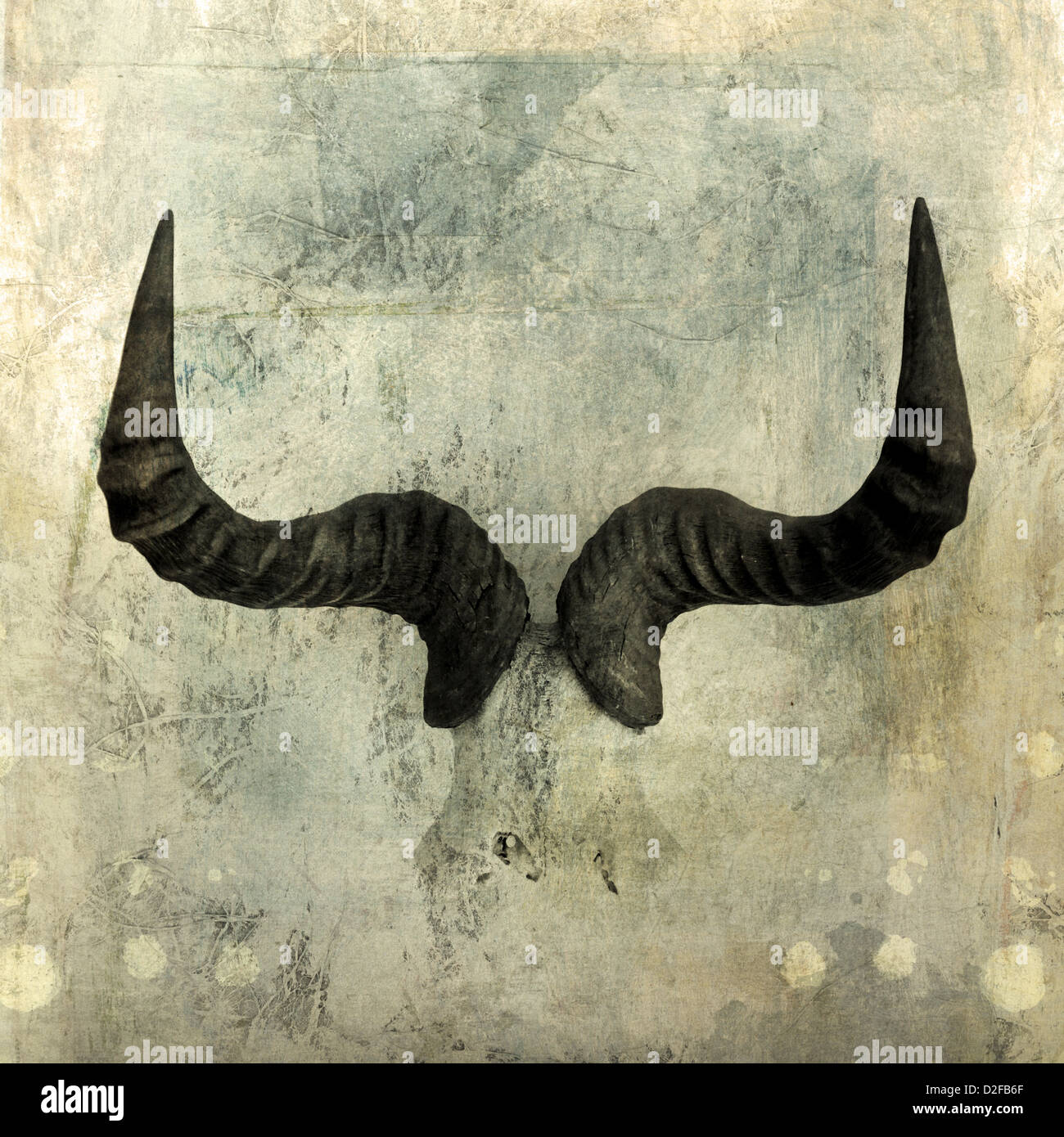 Deadly horns hi-res stock photography and images - Alamy