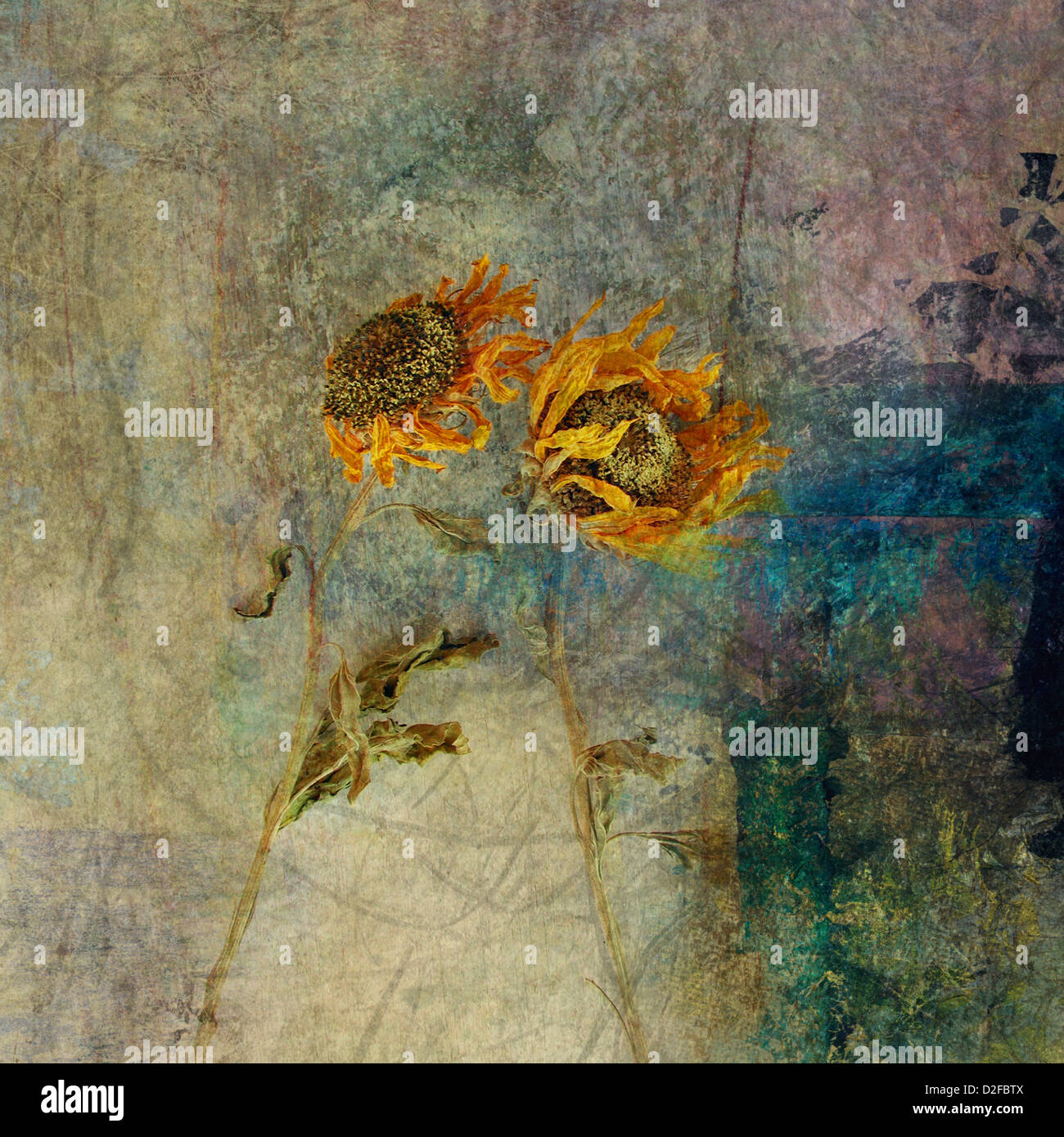 Sunflowers Floral Botanical Art. Two sunflowers seminally in motion ...