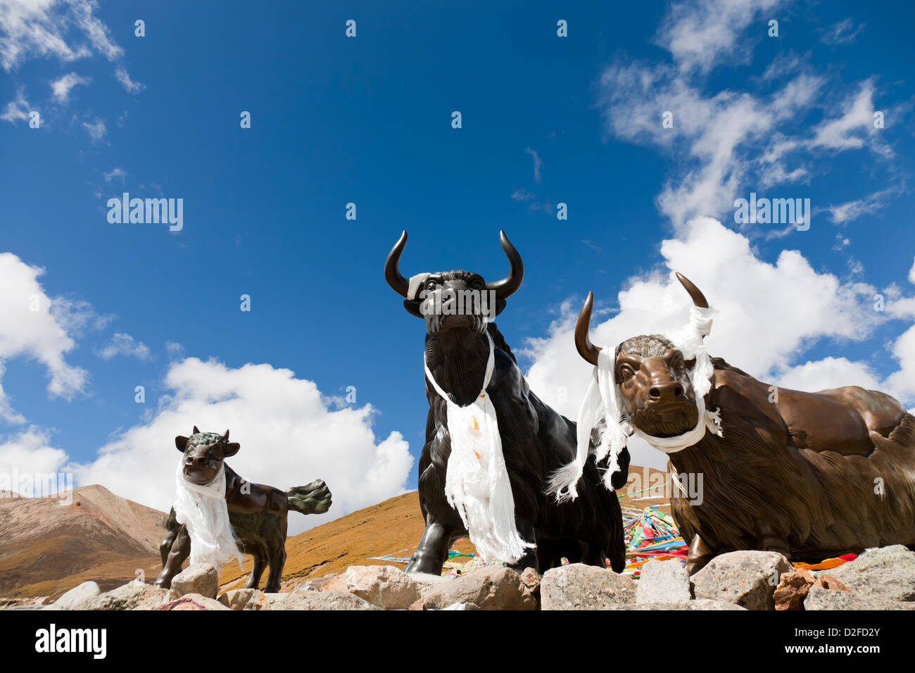 Tibetan bull statues with white hada which is a piece of silk used as a ...