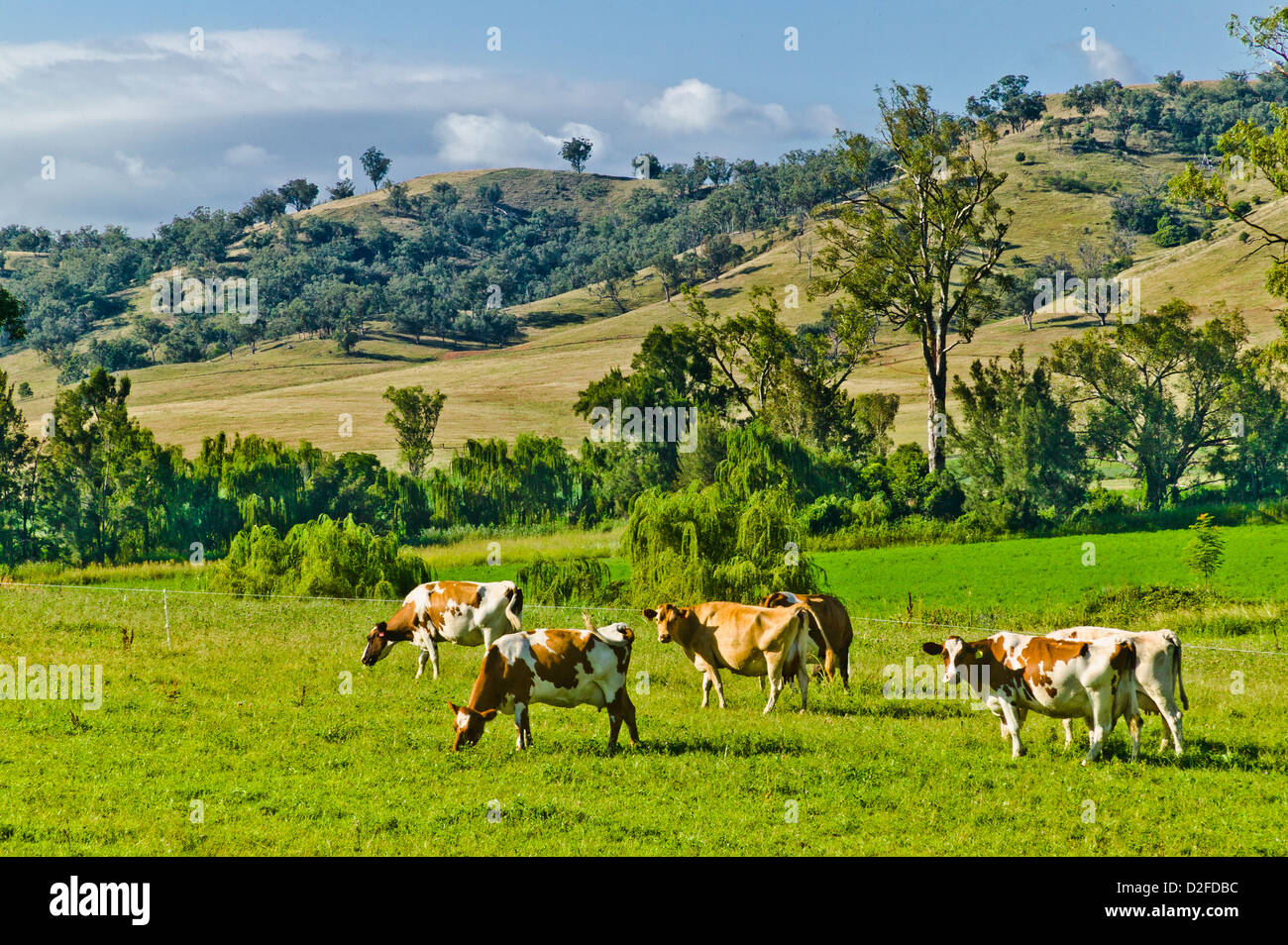 Bucketts way nsw hi-res stock photography and images - Alamy
