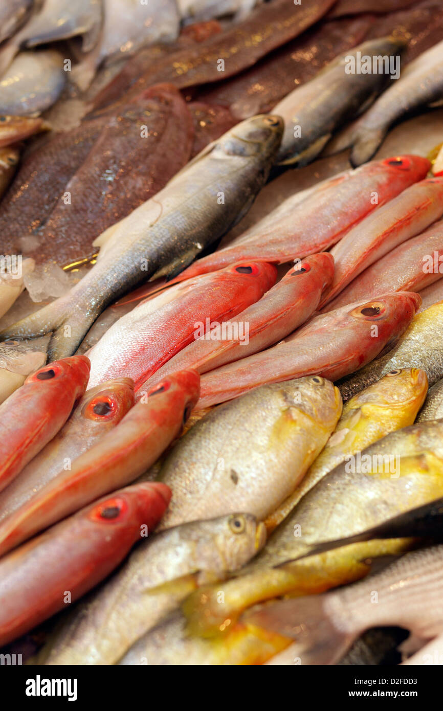 Hong Kong, China, fish in the window of a Fischhaendlers Stock Photo ...