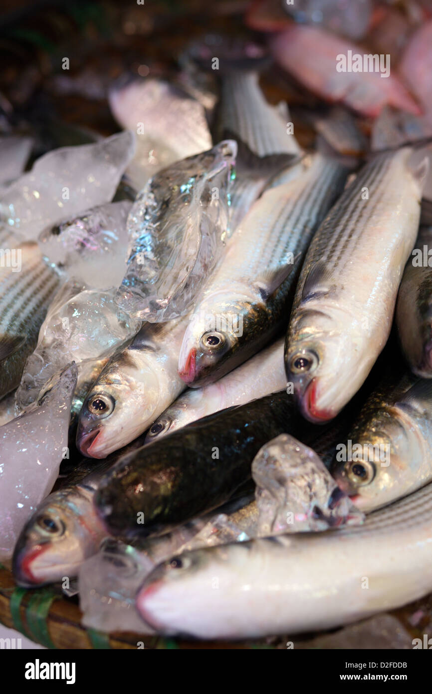 Fischhaendlers hi-res stock photography and images - Alamy