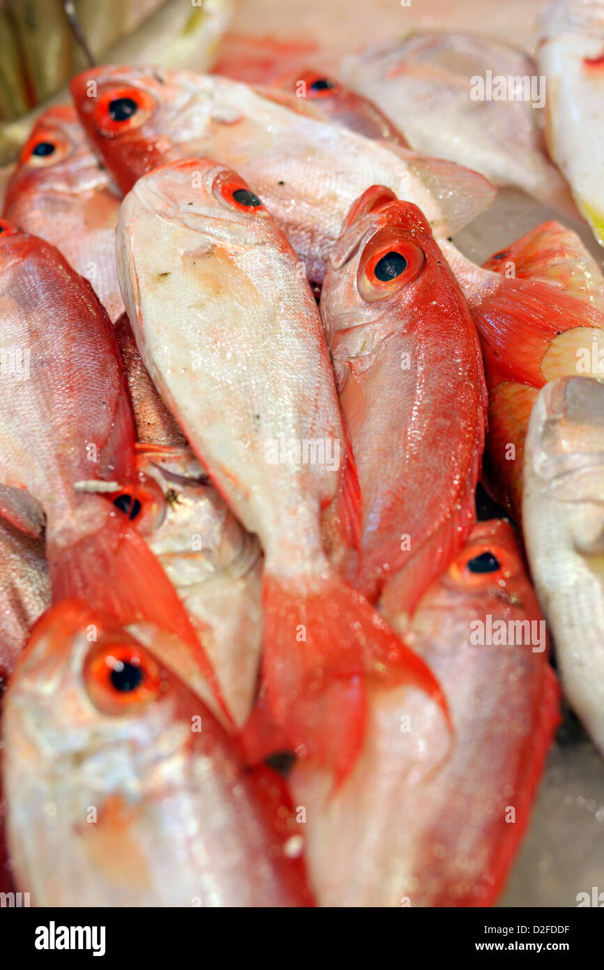 Hong Kong, China, fish in the window of a Fischhaendlers Stock Photo ...