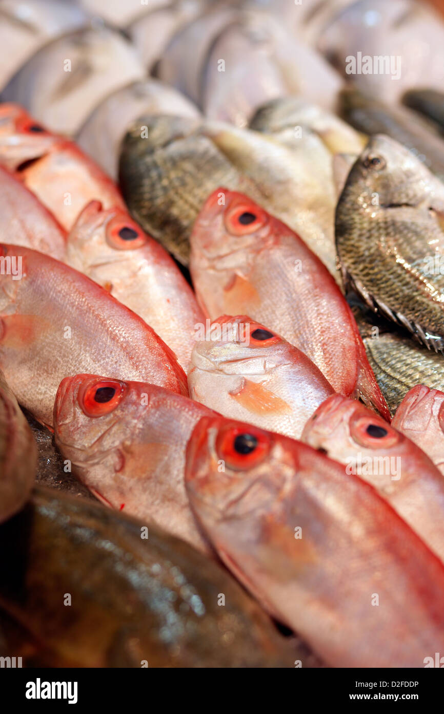 Hong Kong, China, fish in the window of a Fischhaendlers Stock Photo ...