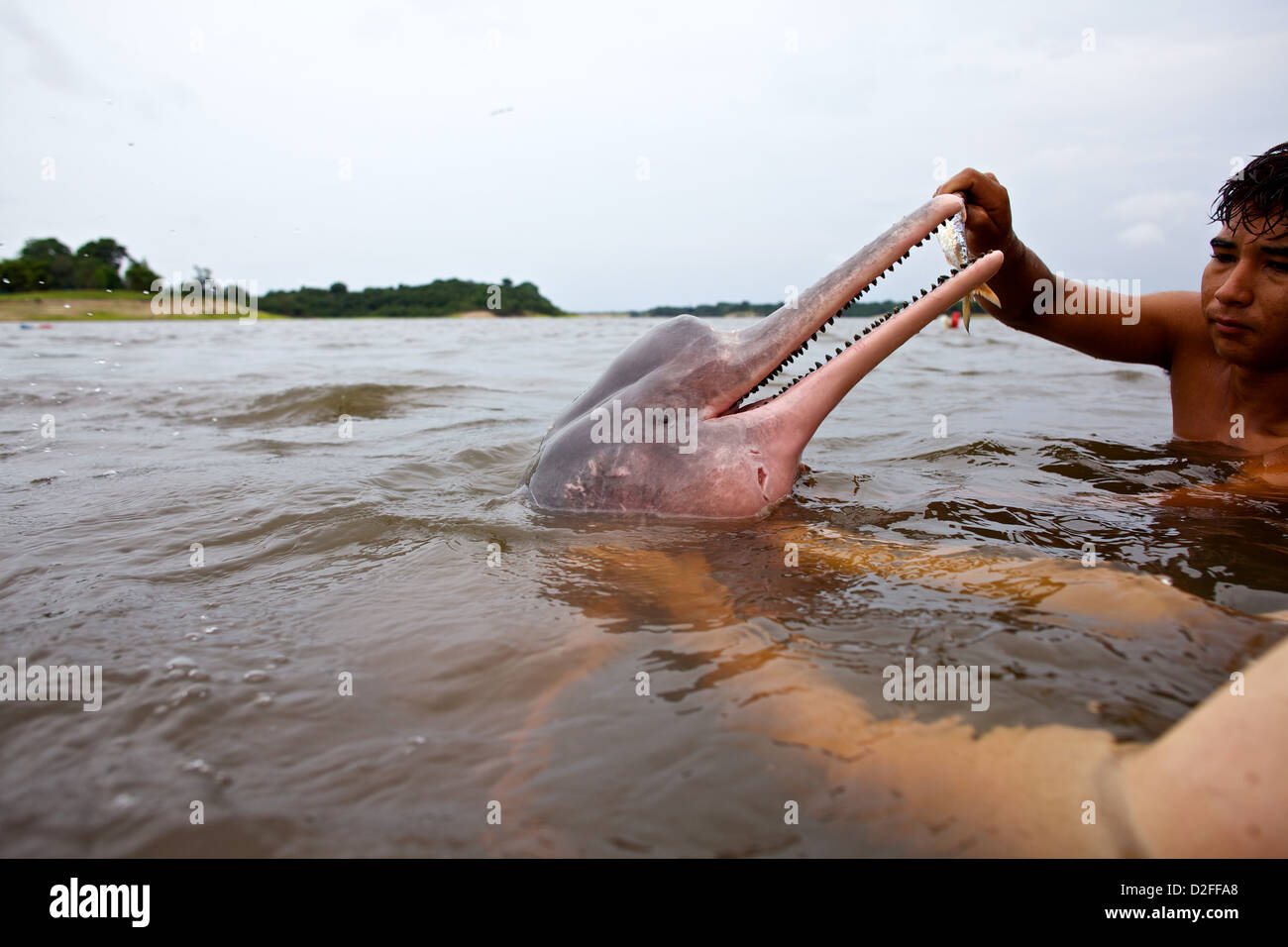 Indigenous experience hi-res stock photography and images - Alamy