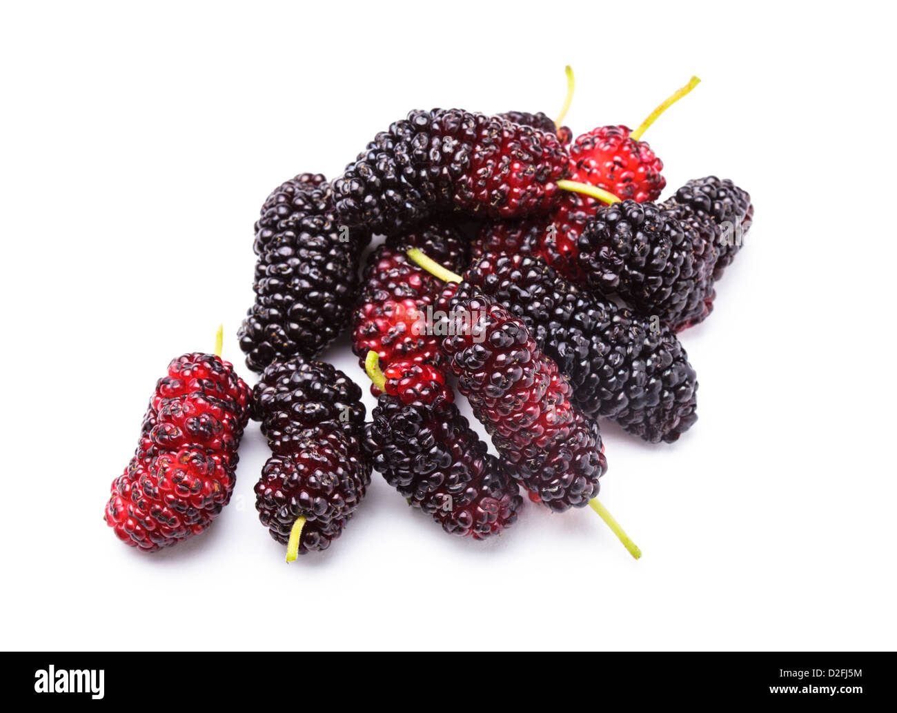 Mulberry hi-res stock photography and images - Alamy