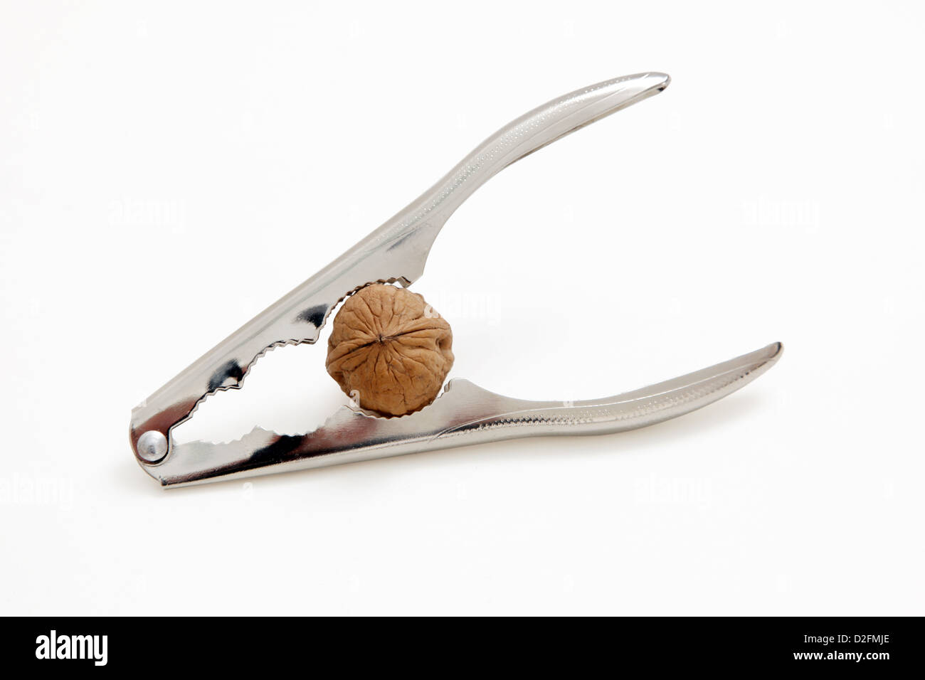 Pair of nut crackers holding a hazelnut, photo by Tony Rusecki Stock ...