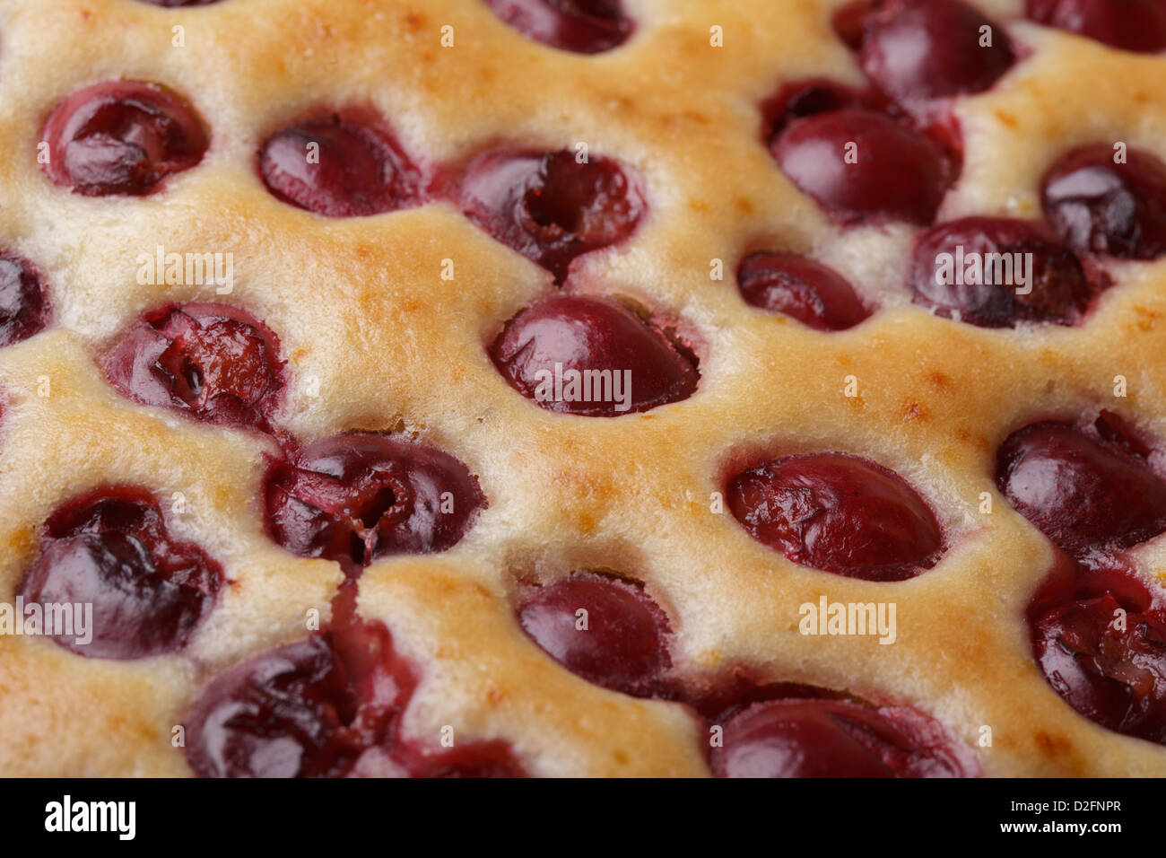 Cherry sponge cake closeup, opened after baking Stock Photo - Alamy