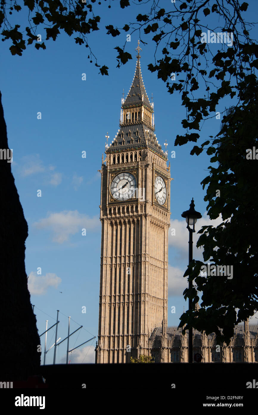 Big Ben through the trees from Westminster Abbey Stock Photo - Alamy