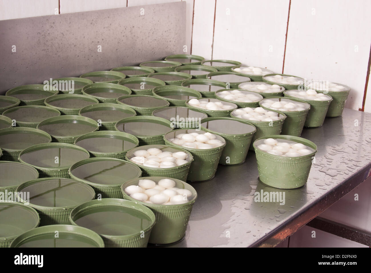 Water filled containers waiting for fresh mozzarella cheese Stock Photo ...