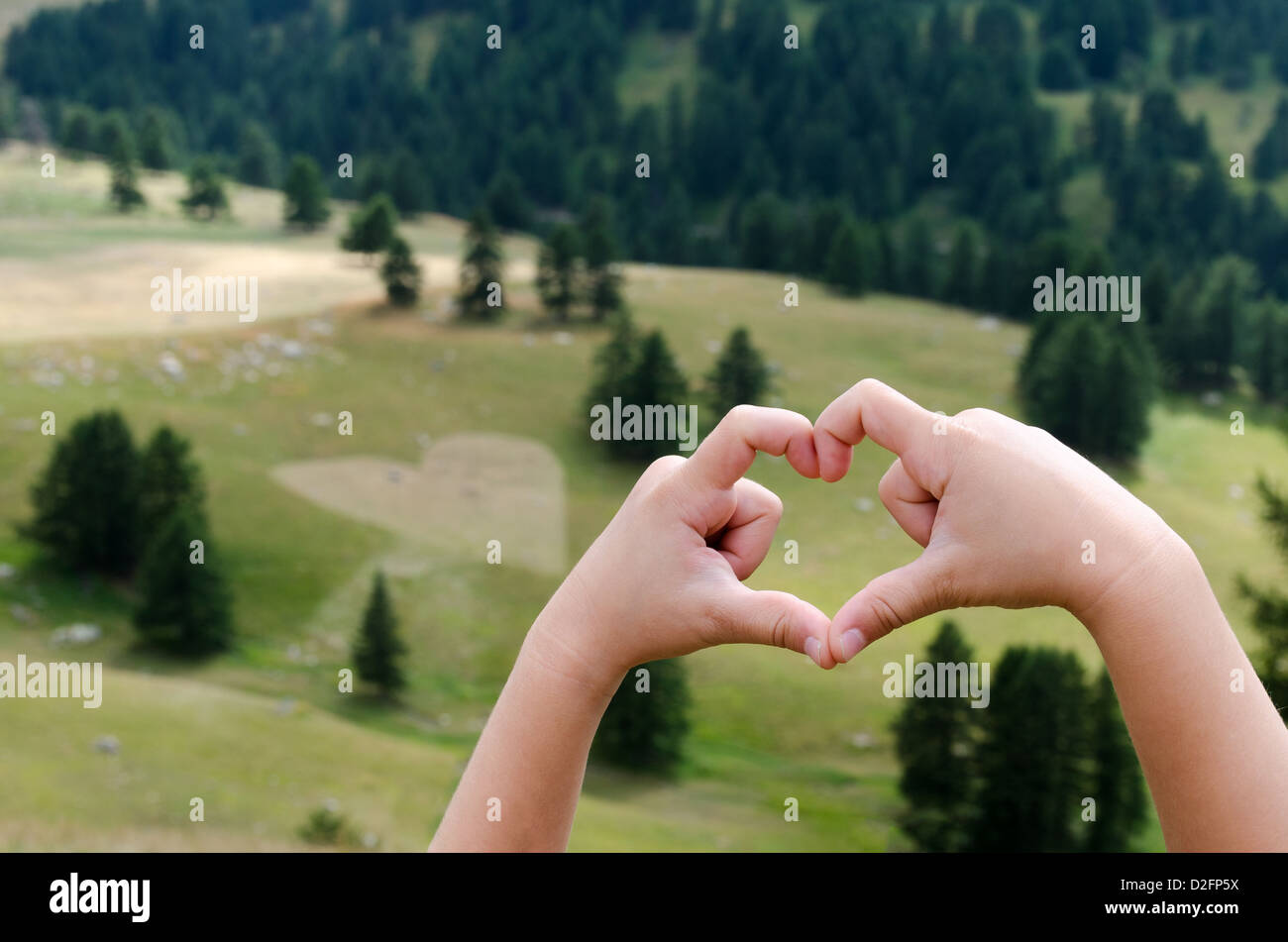 hands of a child and lawn in the shape of heart Stock Photo - Alamy