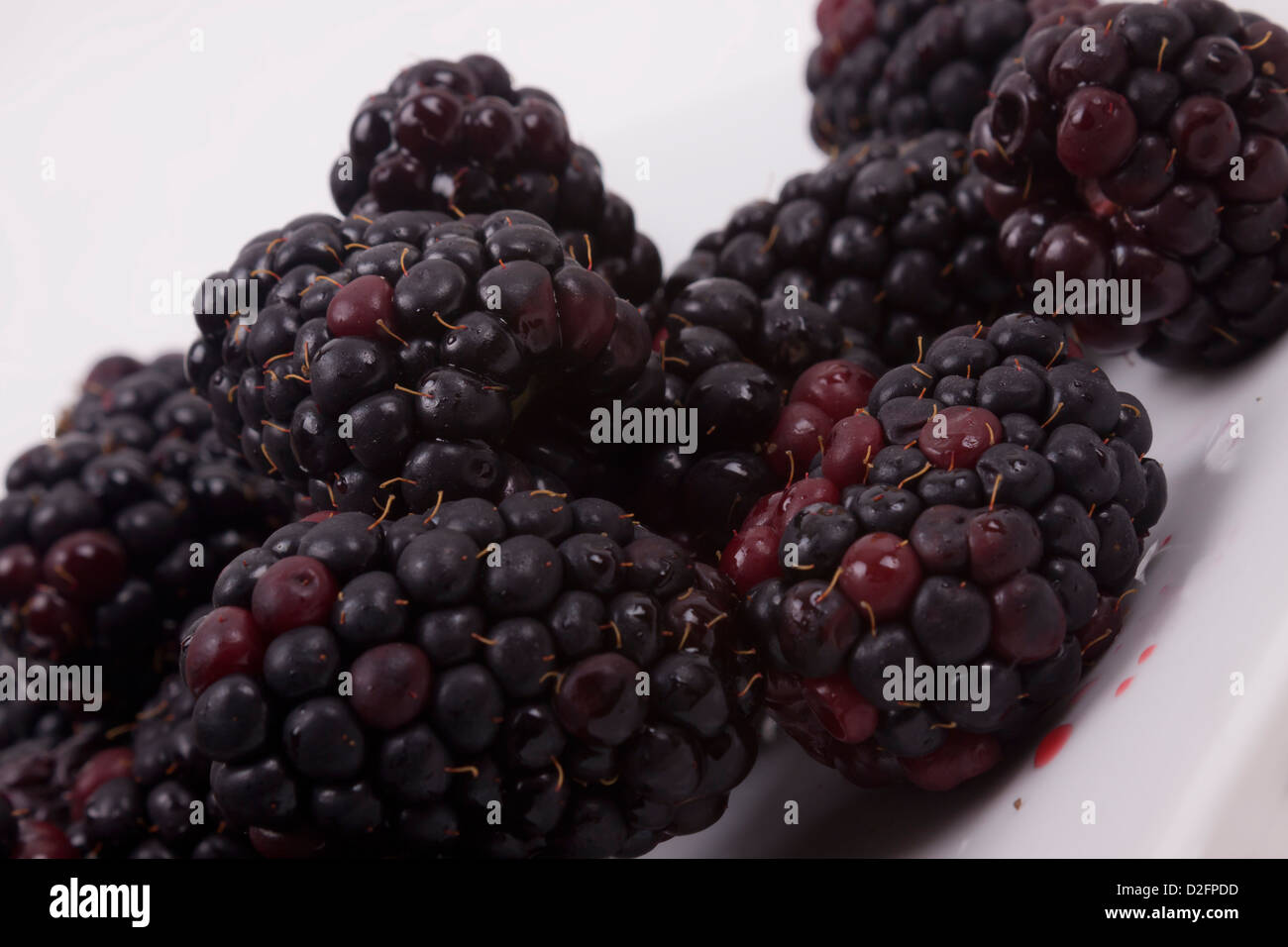 White blackberries hi-res stock photography and images - Alamy