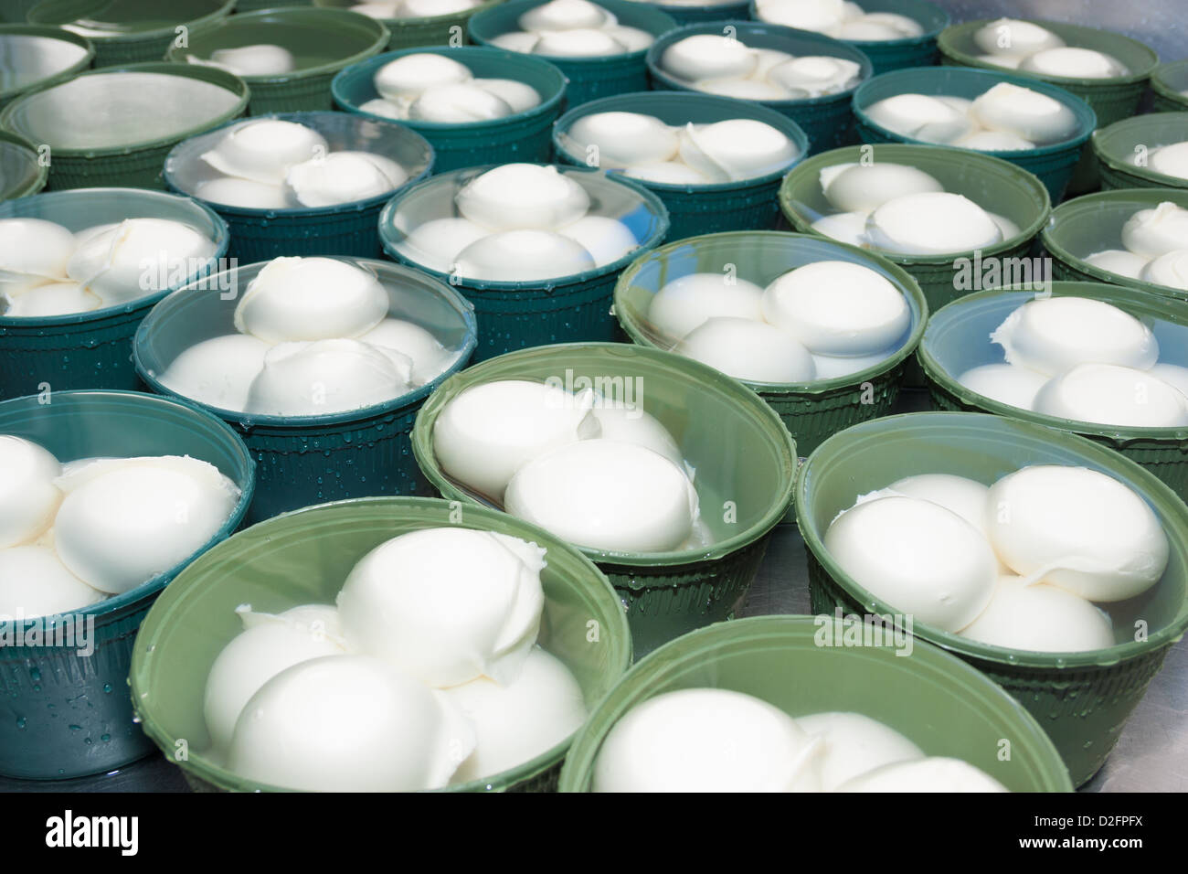 Cheese factory packaging cheese hi-res stock photography and images - Alamy